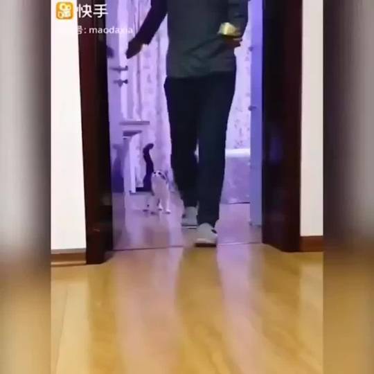 Watch the trip wire! | Scrolller