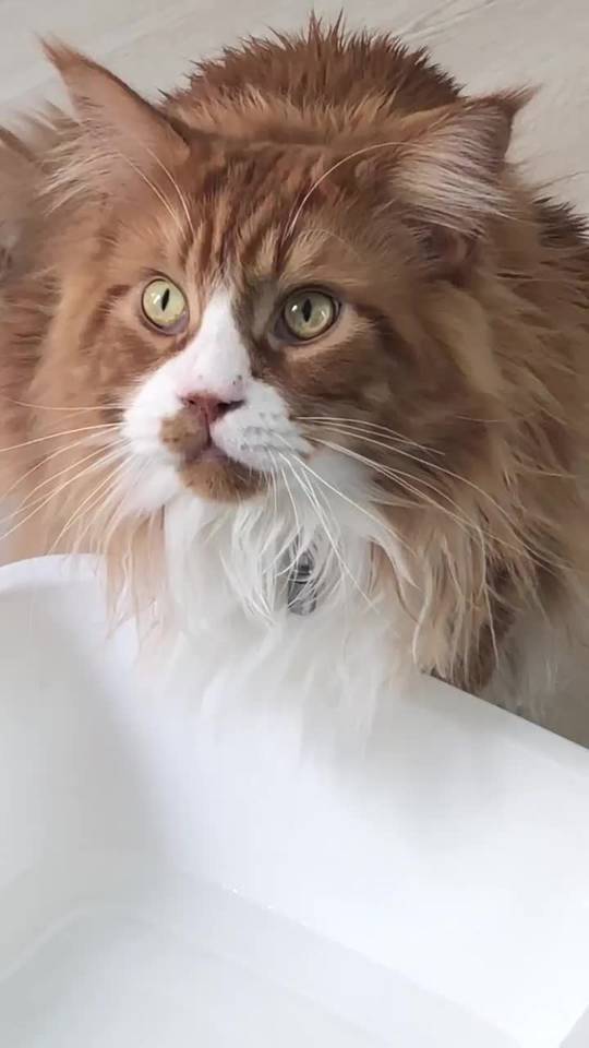 water taps | Scrolller