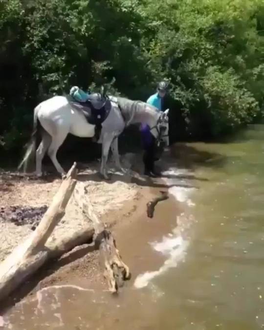 we all float down here | Scrolller