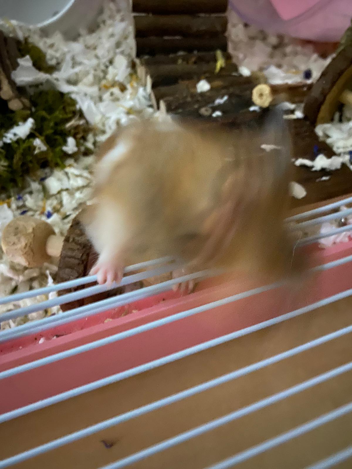 We are experiencing some technical difficulties, please understand | Scrolller