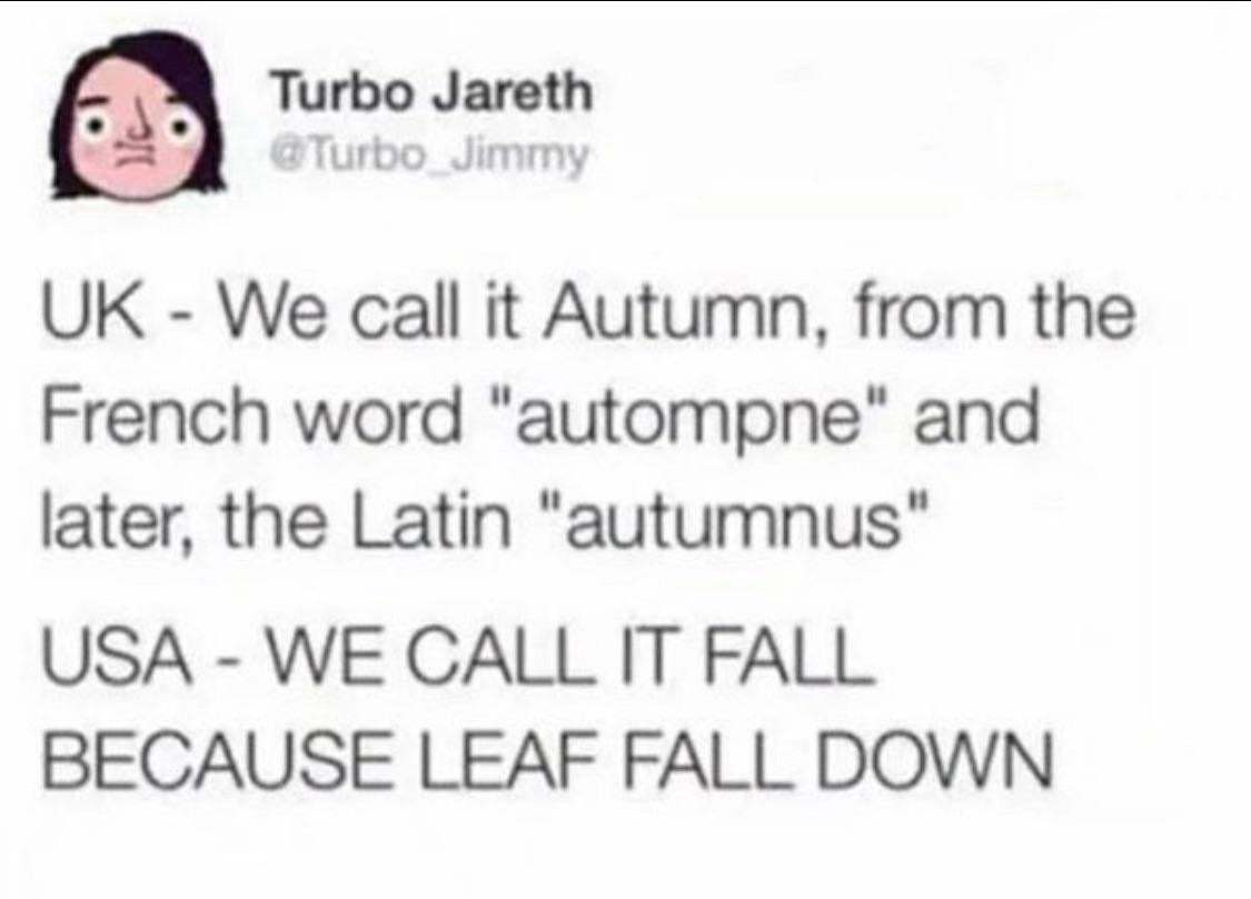 WE CALL IT FALL | Scrolller