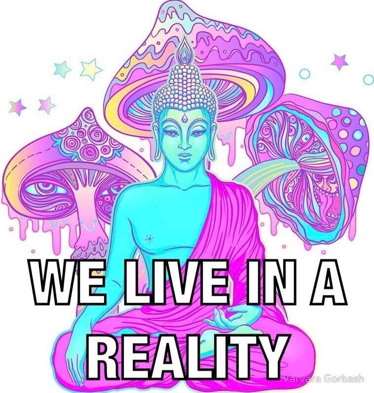 We live. | Scrolller