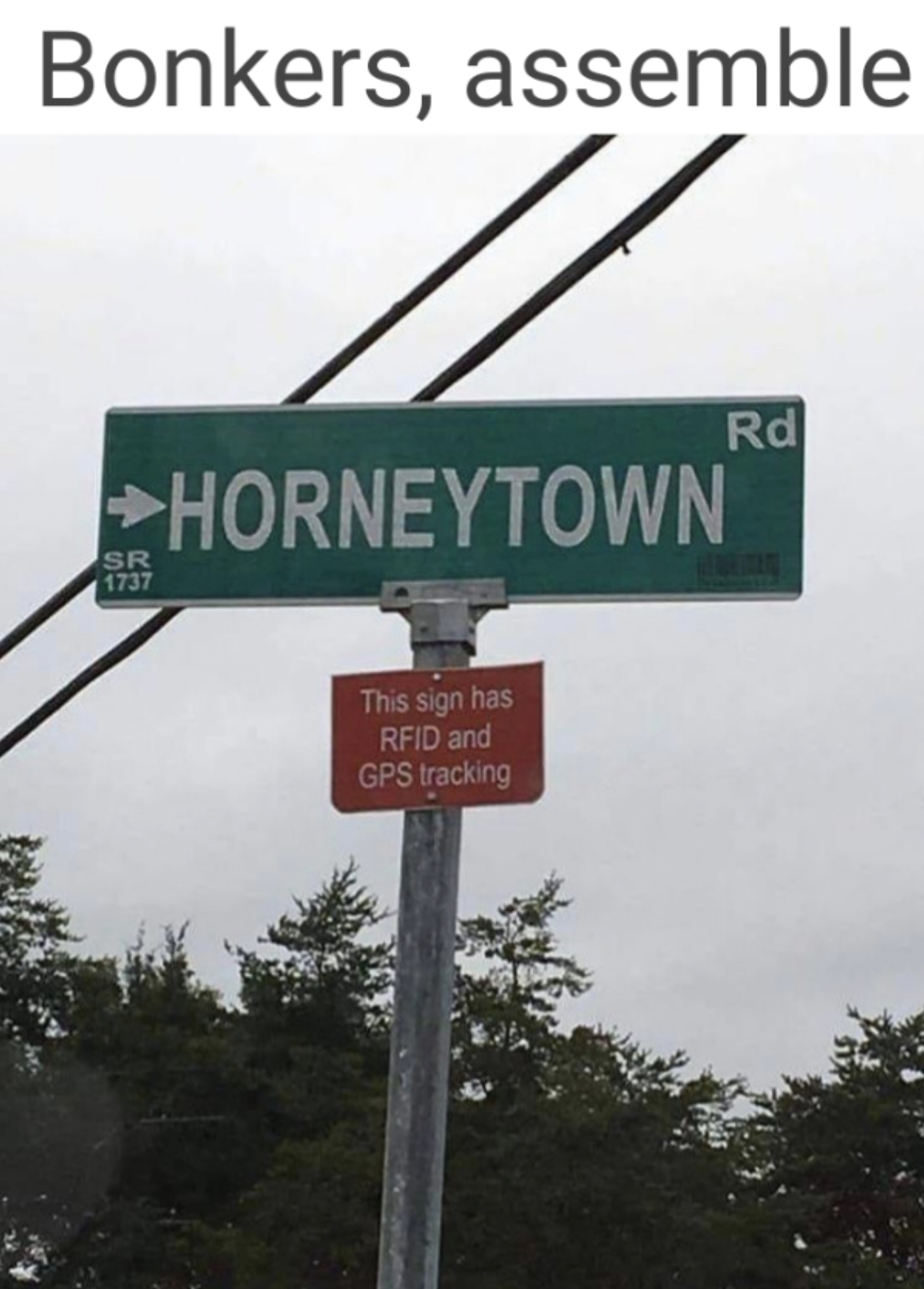 We must raid hornet town | Scrolller