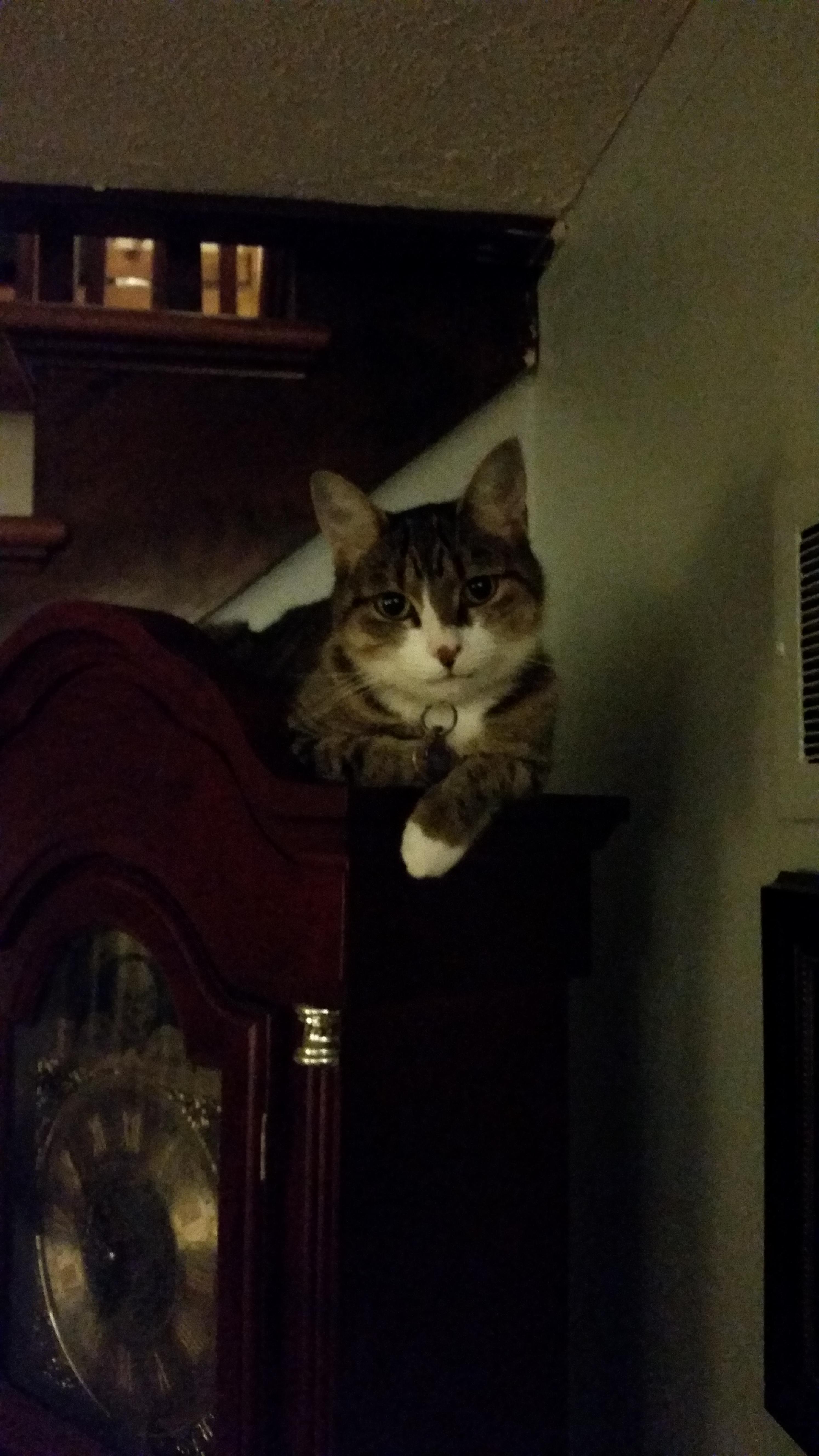 We need to talk | Scrolller