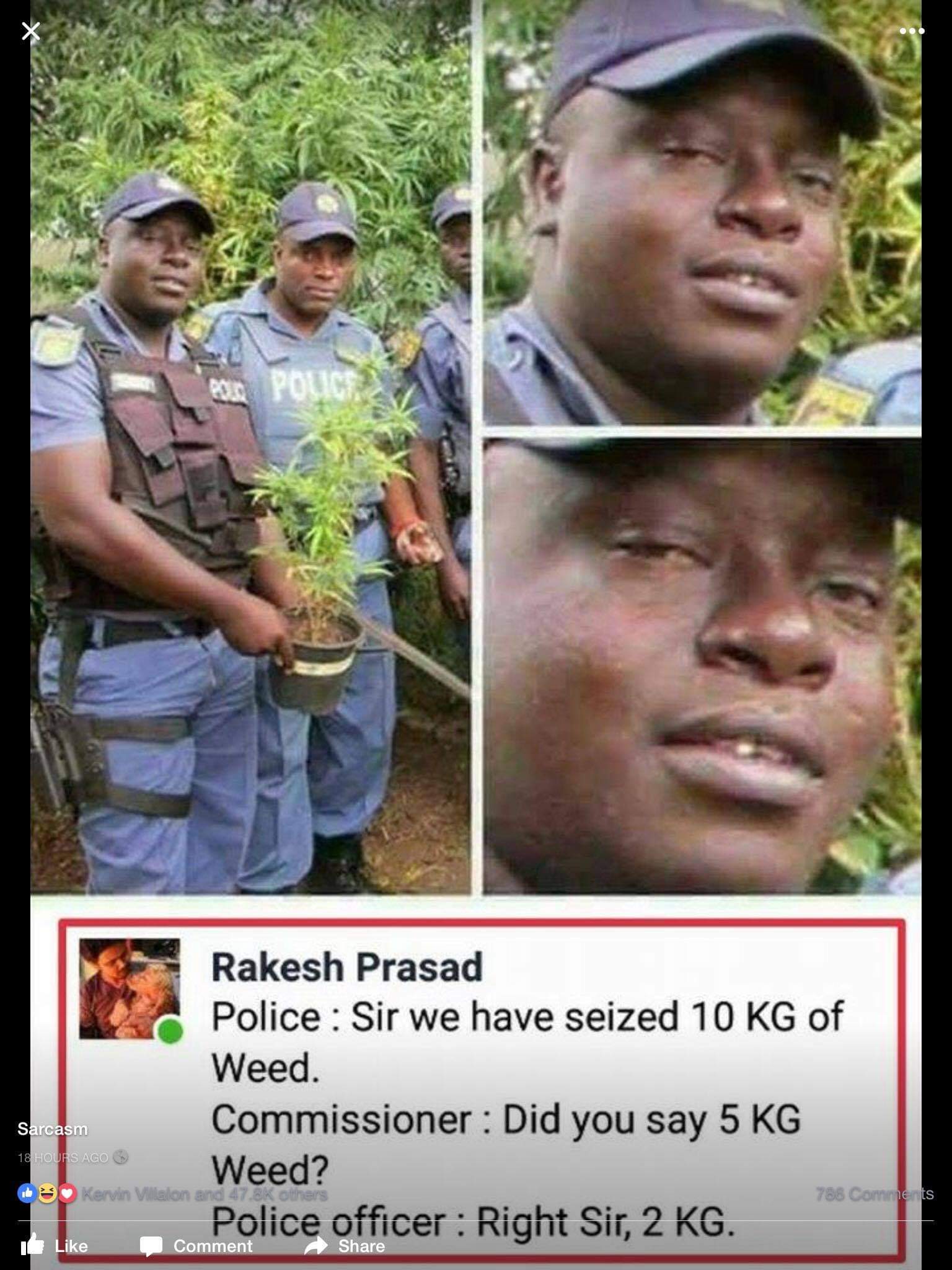 Weed funny haha | Scrolller