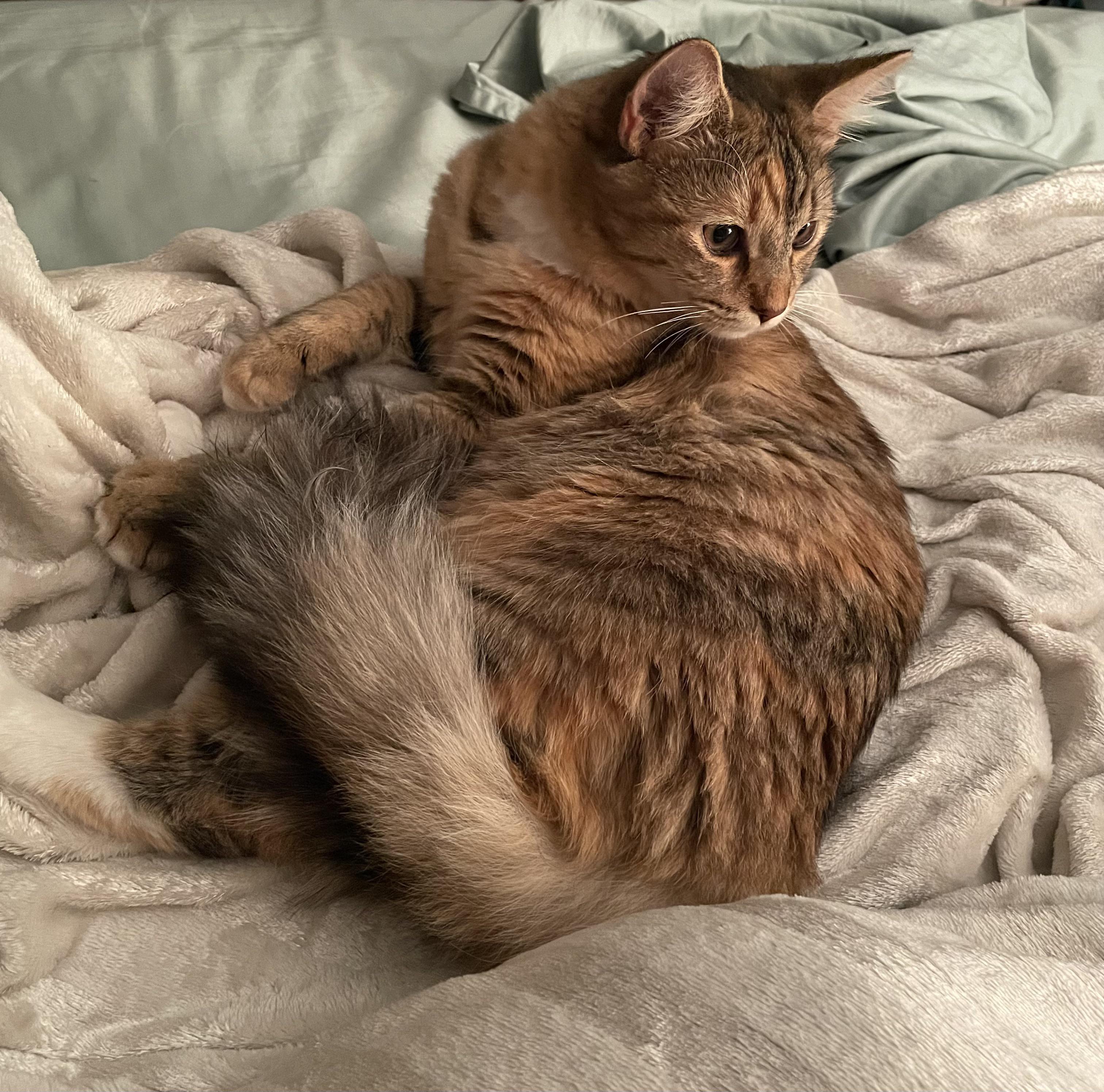 Welcome home, Millie! | Scrolller