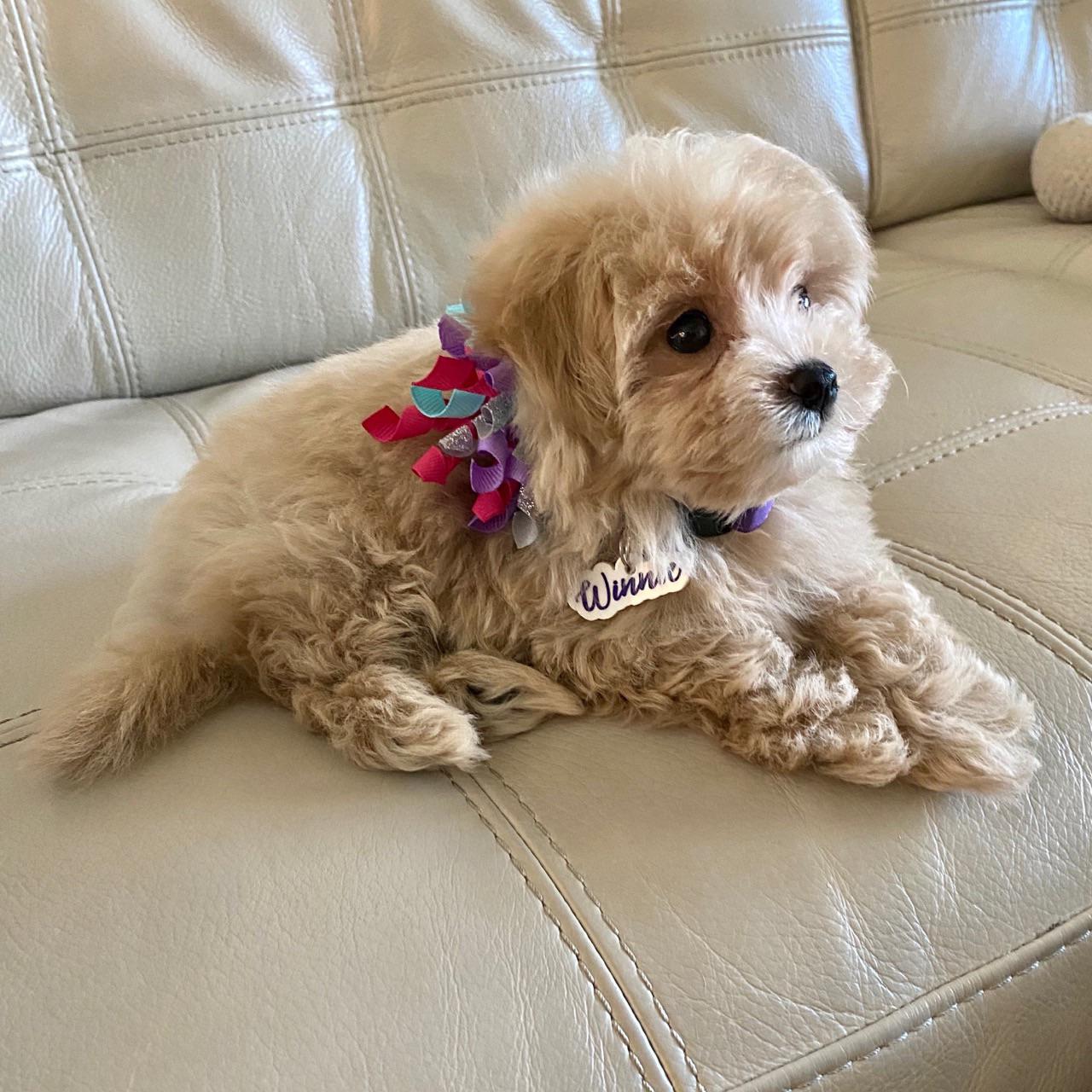 Welcome Home Winnie!!! | Scrolller