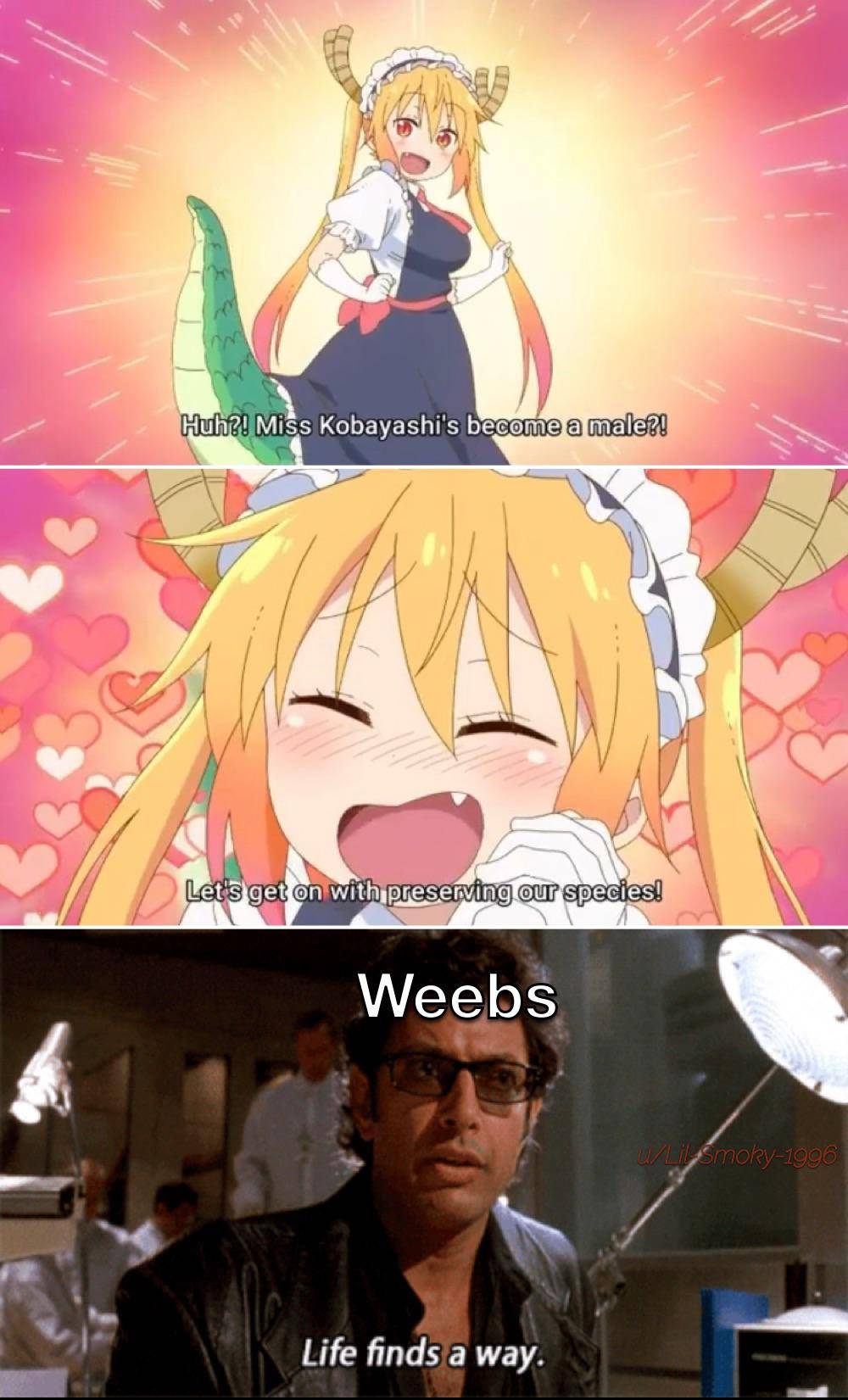 Welcome to Futanari Park | Scrolller