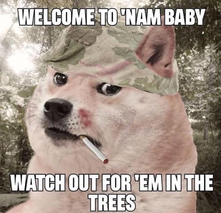 Welcome to nam | Scrolller