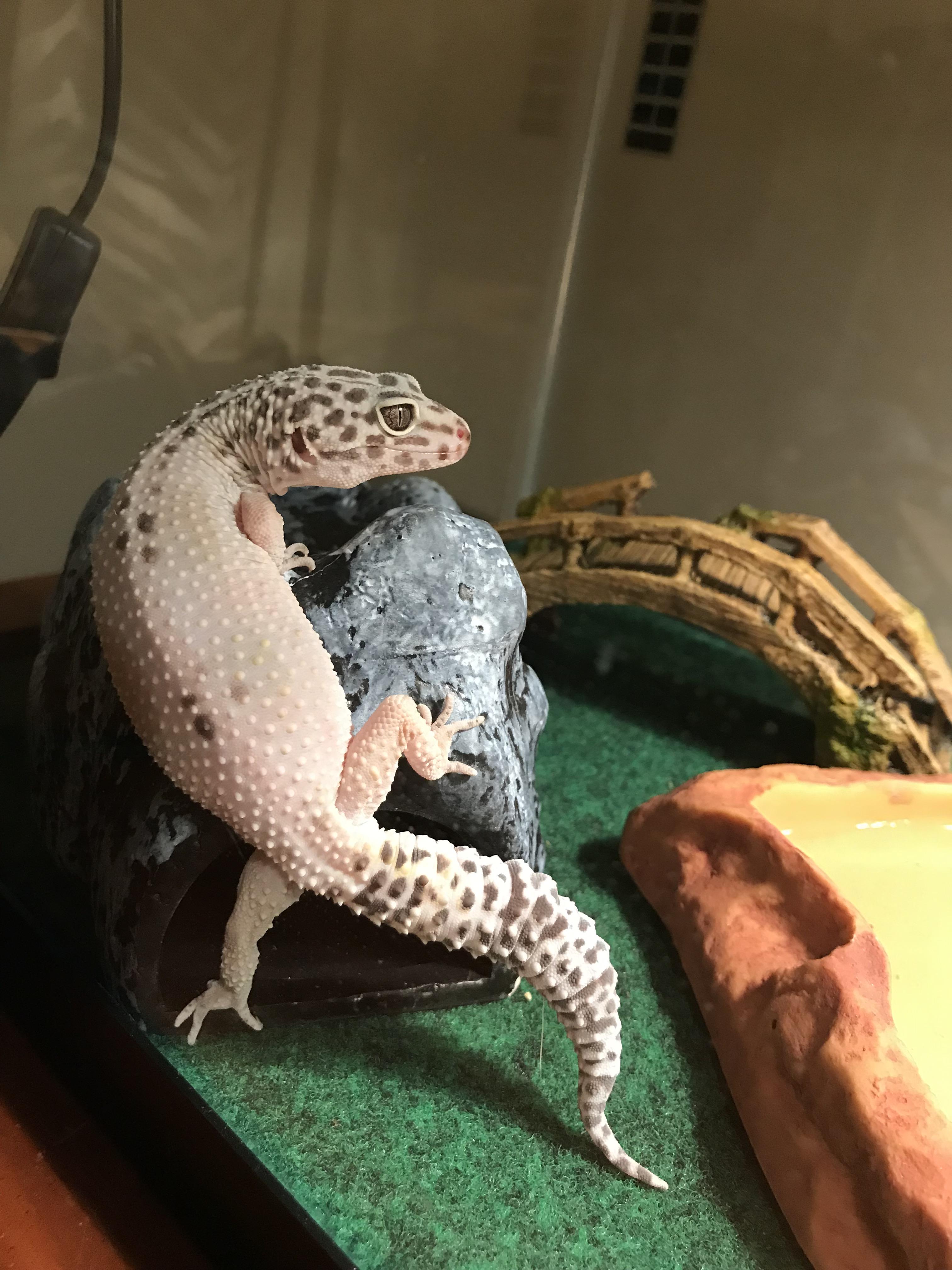 Welcoming Elizabeth to our home | Scrolller