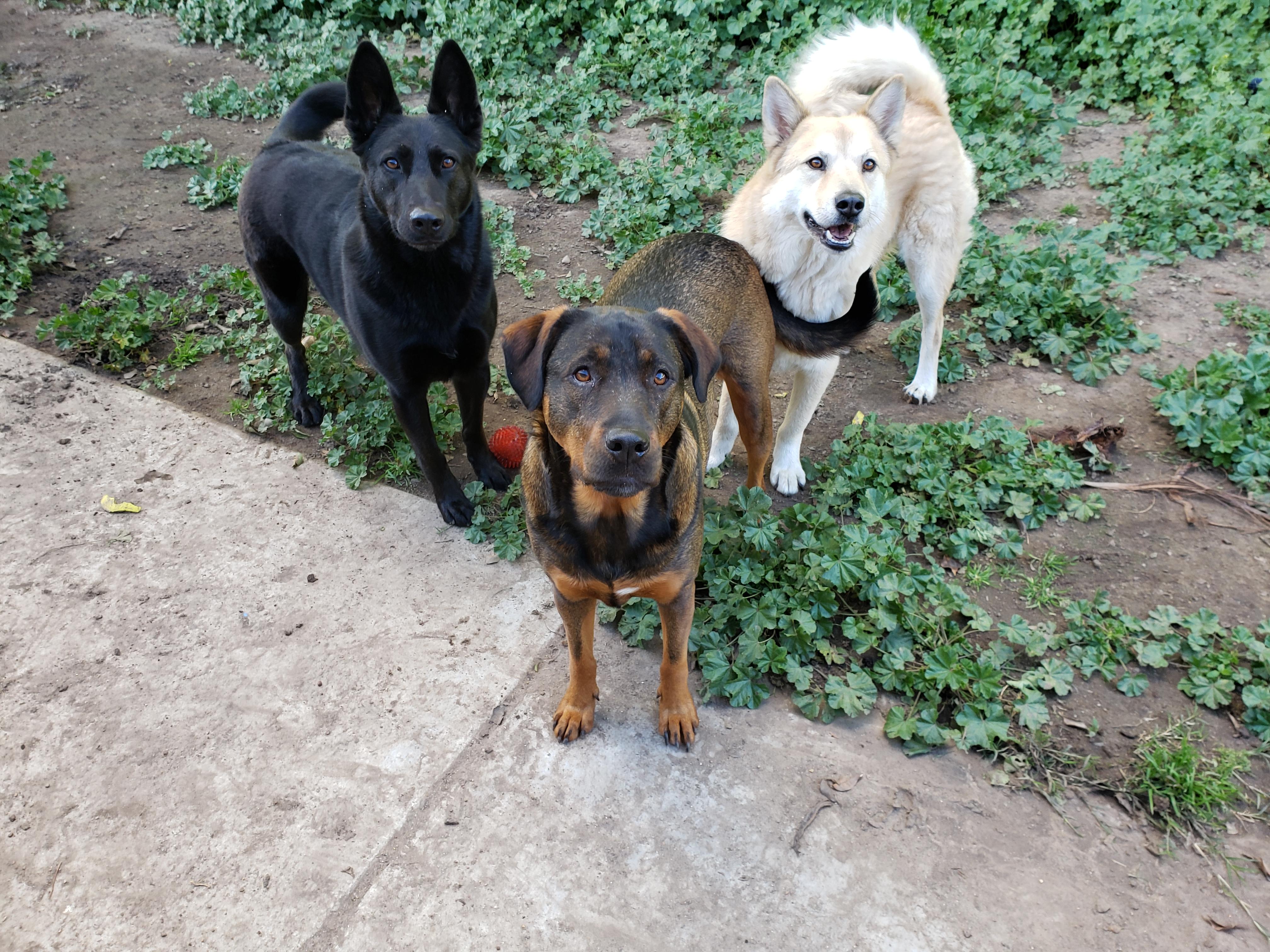 Well hello! | Scrolller