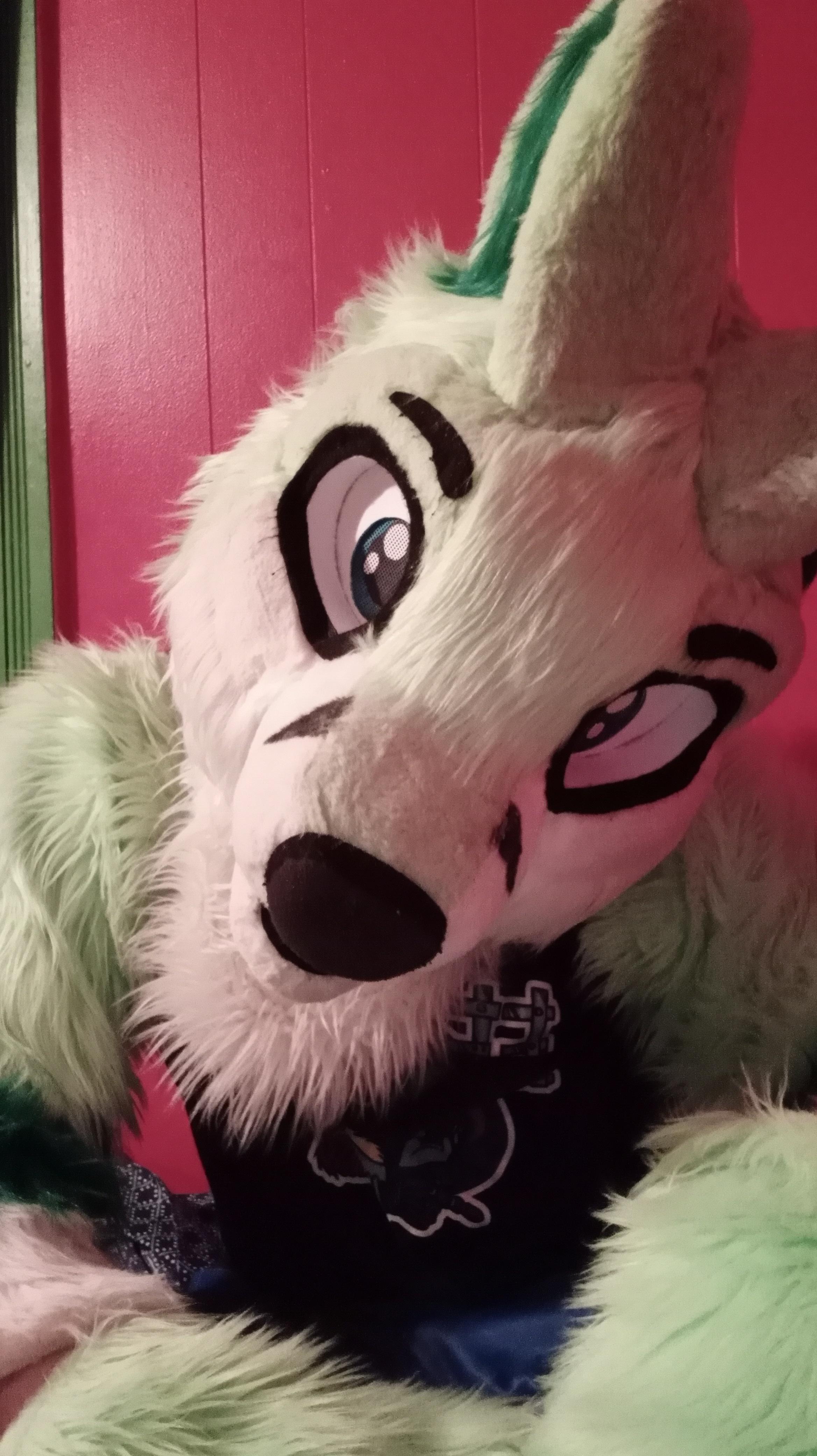 Well Hello there (Happy Fursuit Friday) | Scrolller