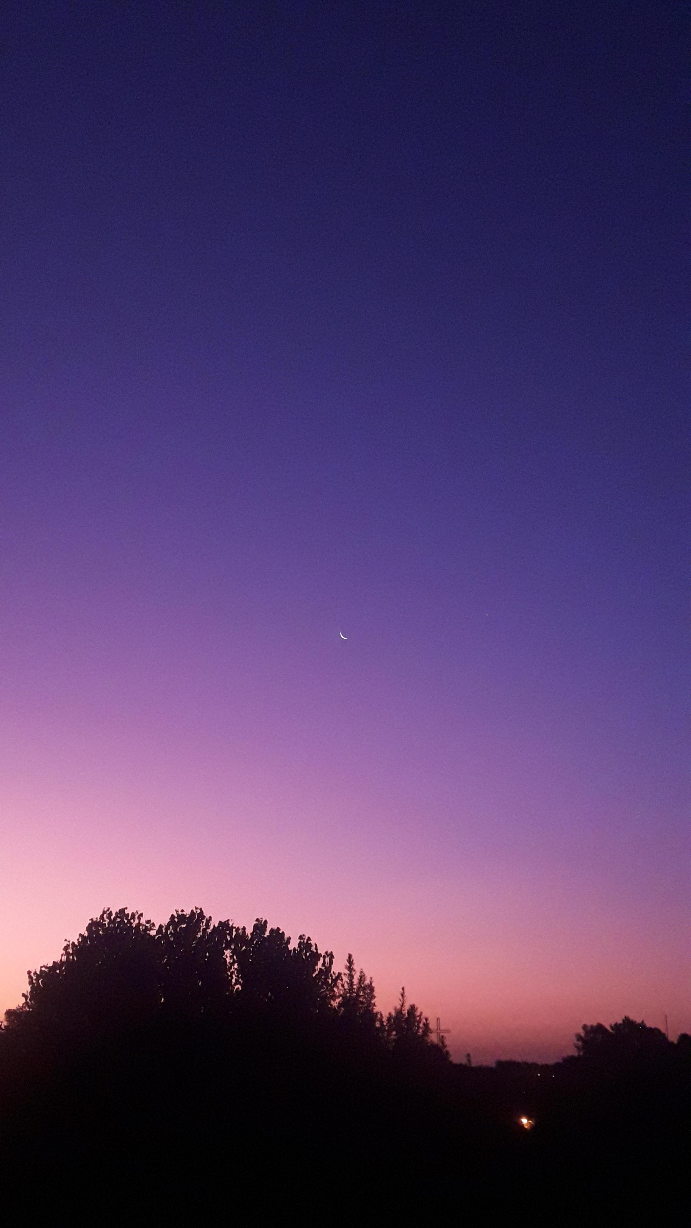 Well, I guess this is aesthetic | Scrolller