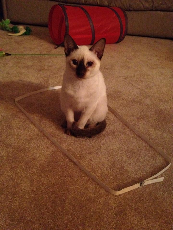 Well It got her finally after an hour! | Scrolller