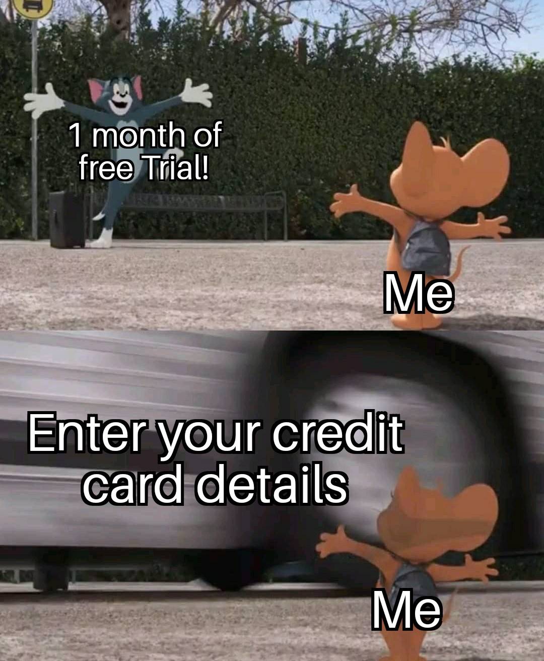 Well played | Scrolller