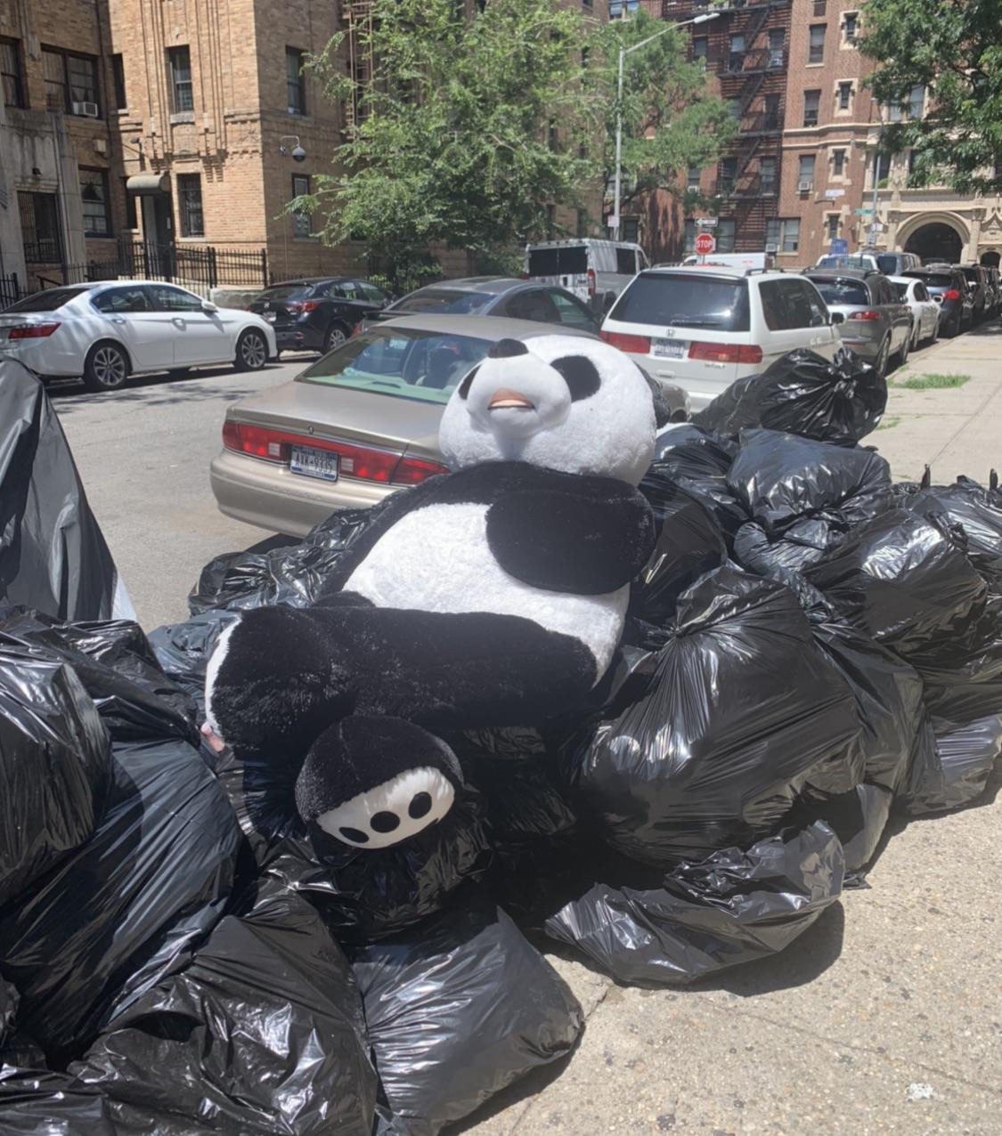 Well...technically. Right? | Scrolller