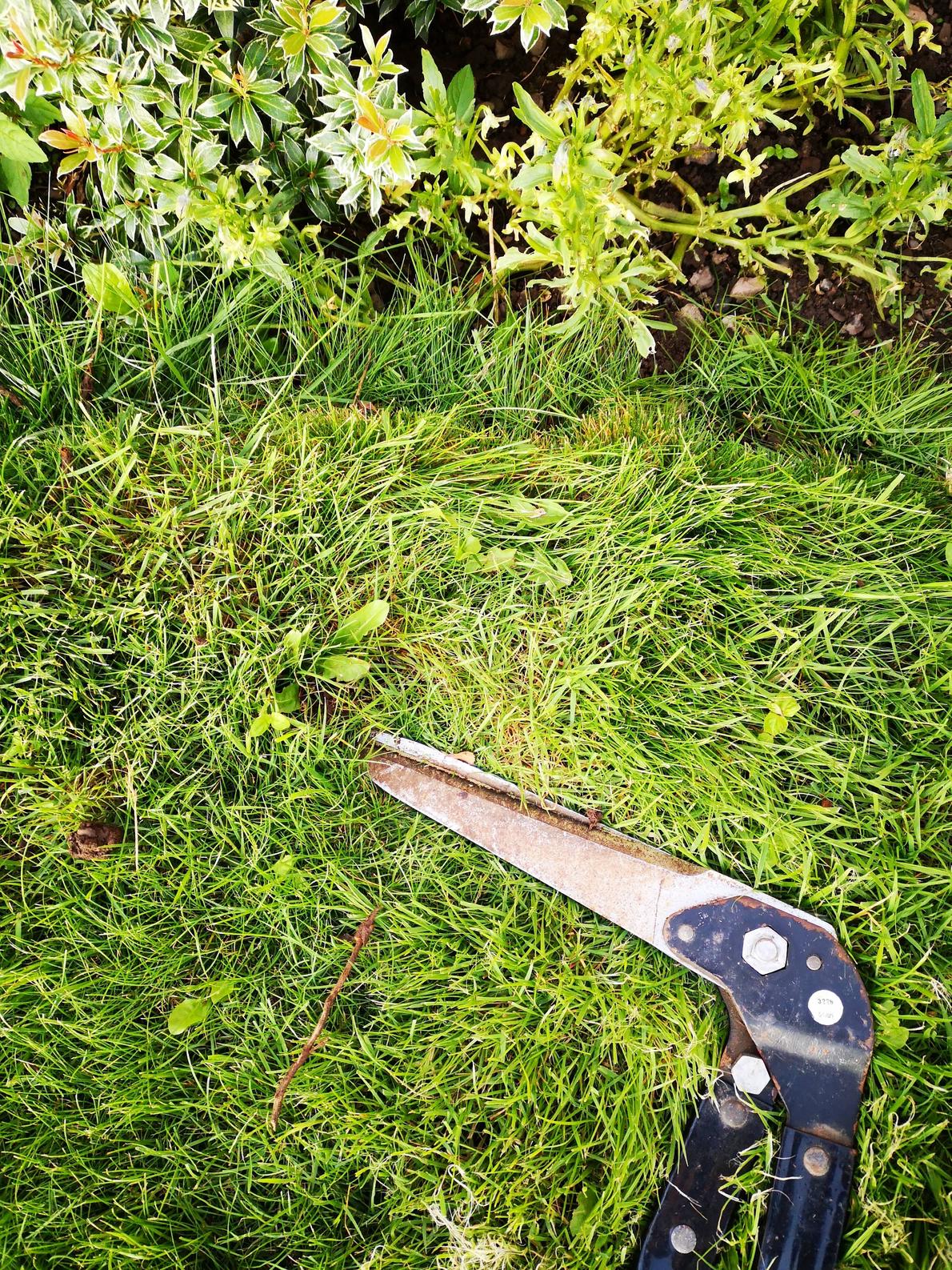 Well trimmed edging. NSFW | Scrolller