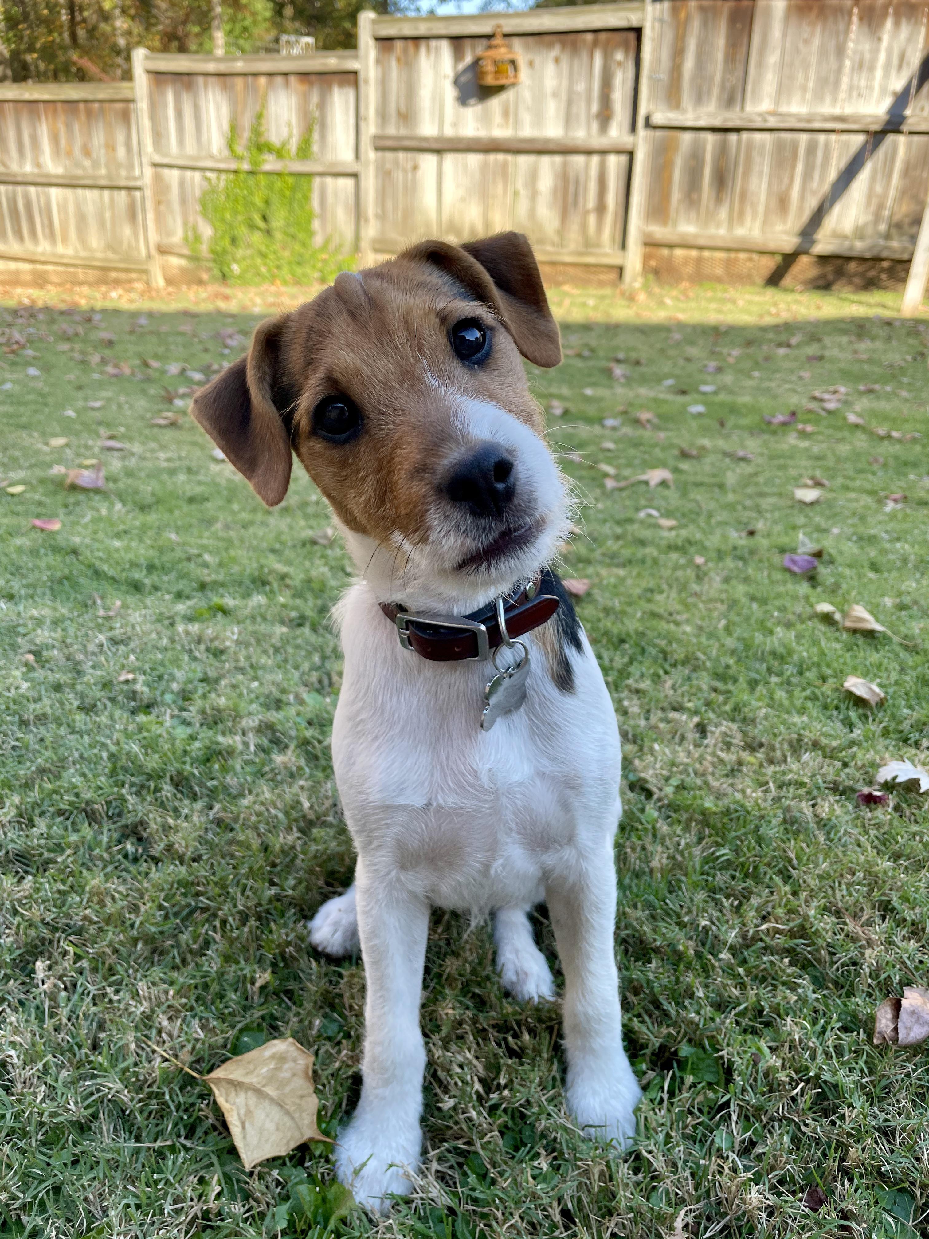 Well? You gonna throw the ball? | Scrolller