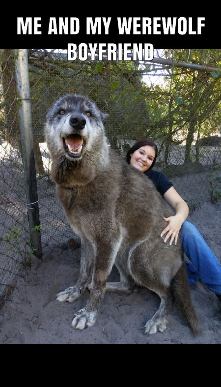 Werewolf_irl | Scrolller