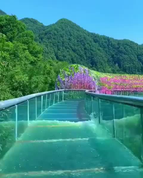 A wisteria covered waterslide in China | Scrolller