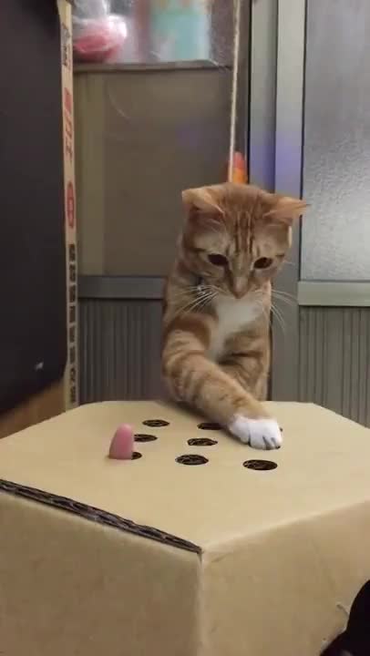 Whack-a-finger. | Scrolller