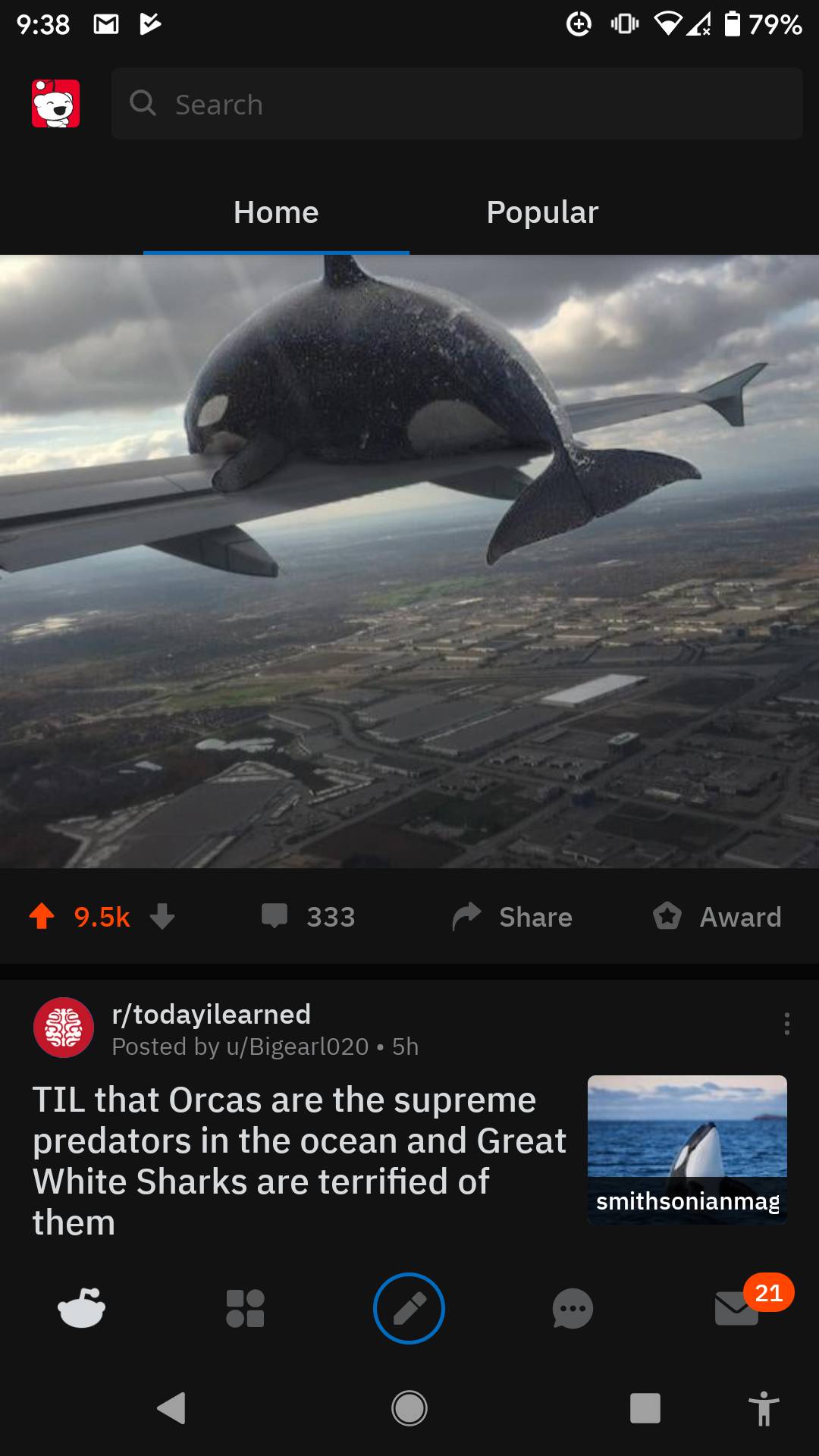 Whale whale whale... | Scrolller