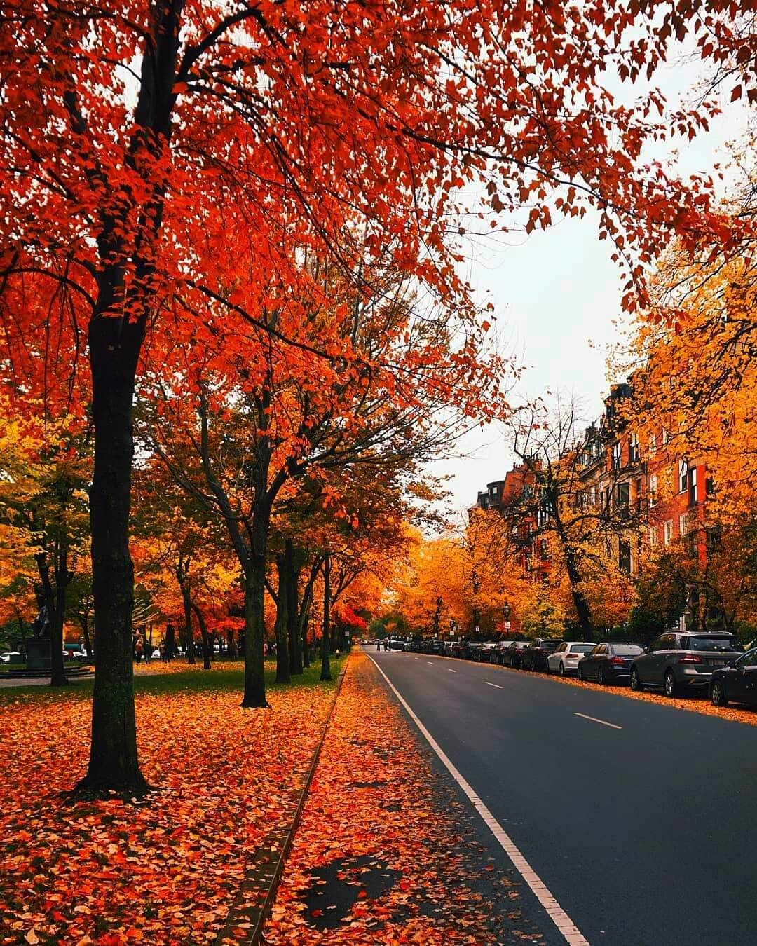 What a beautiful sight | Scrolller