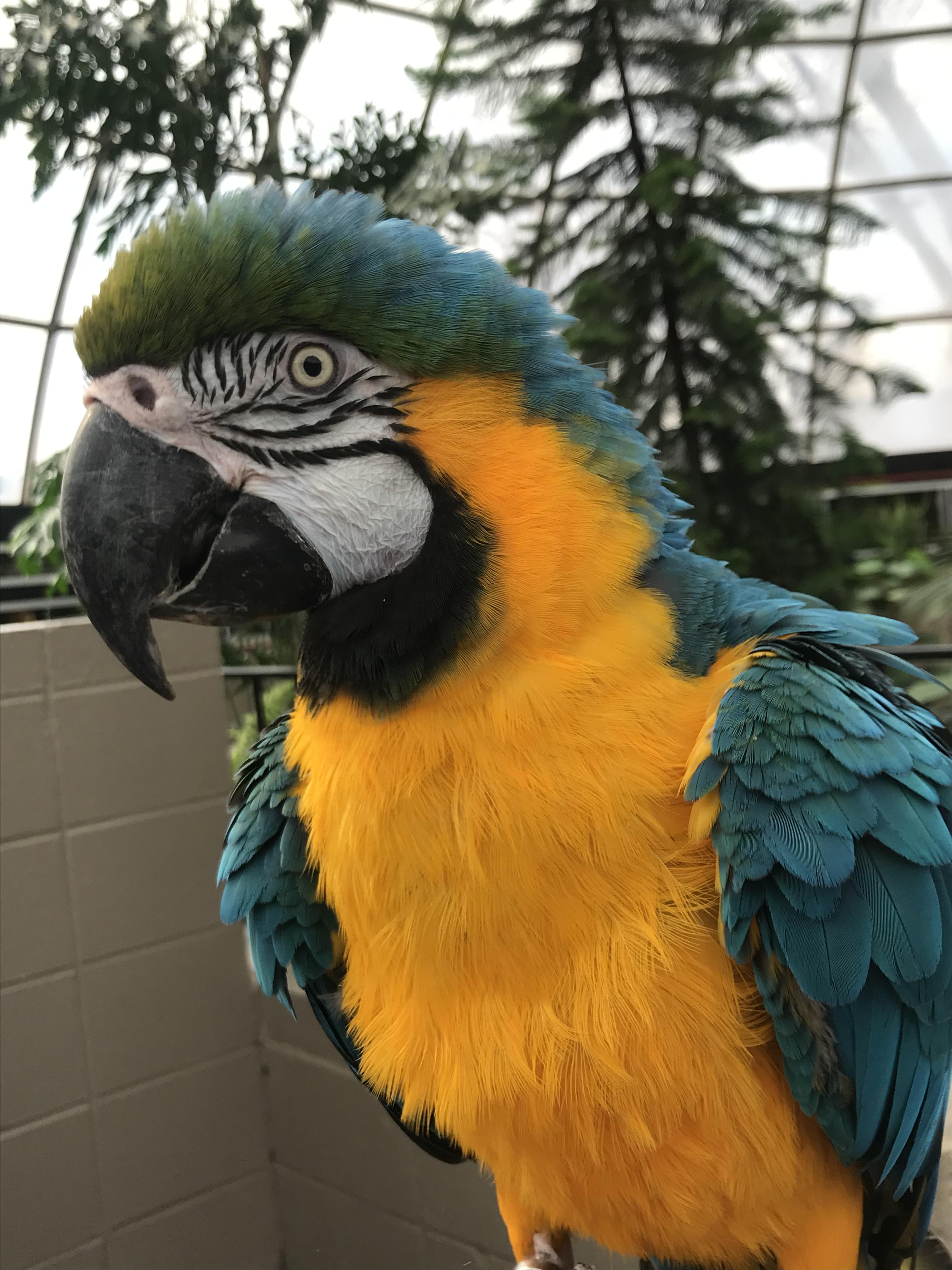 What a handsome boy | Scrolller