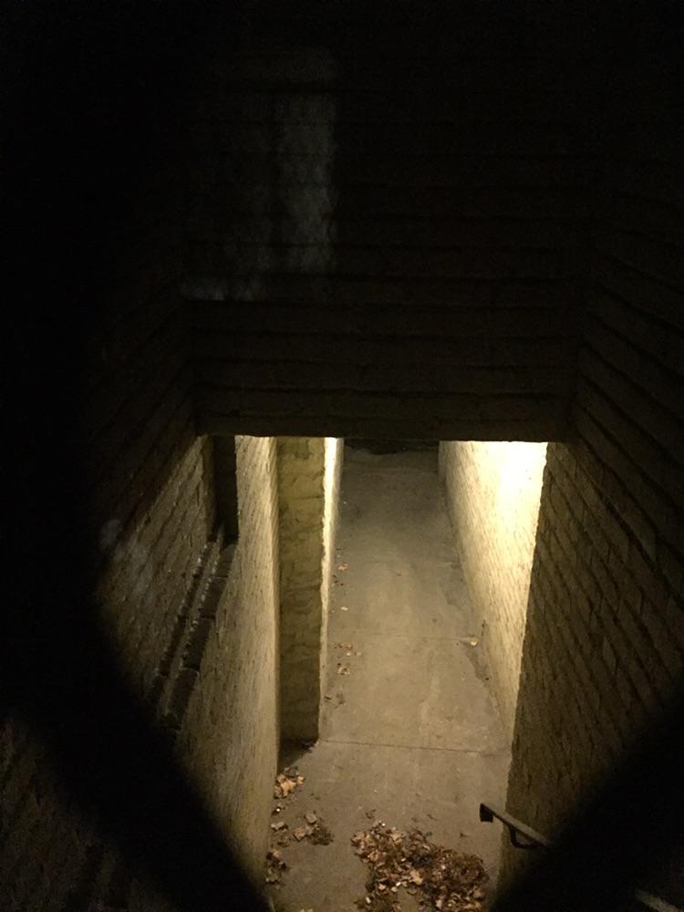 What a quiet night | Scrolller