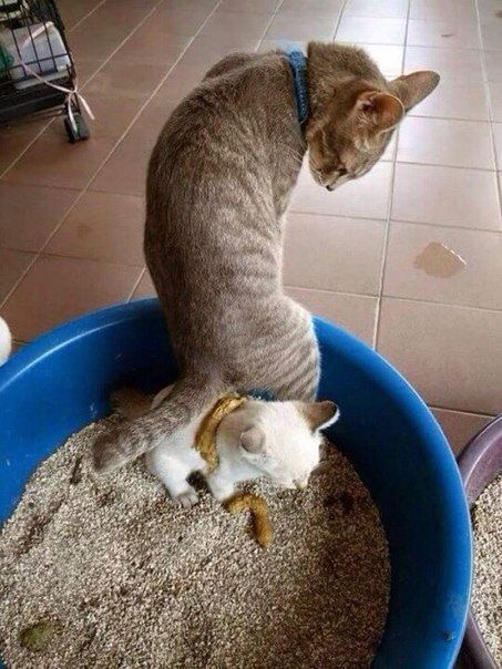 What a shitty situation | Scrolller