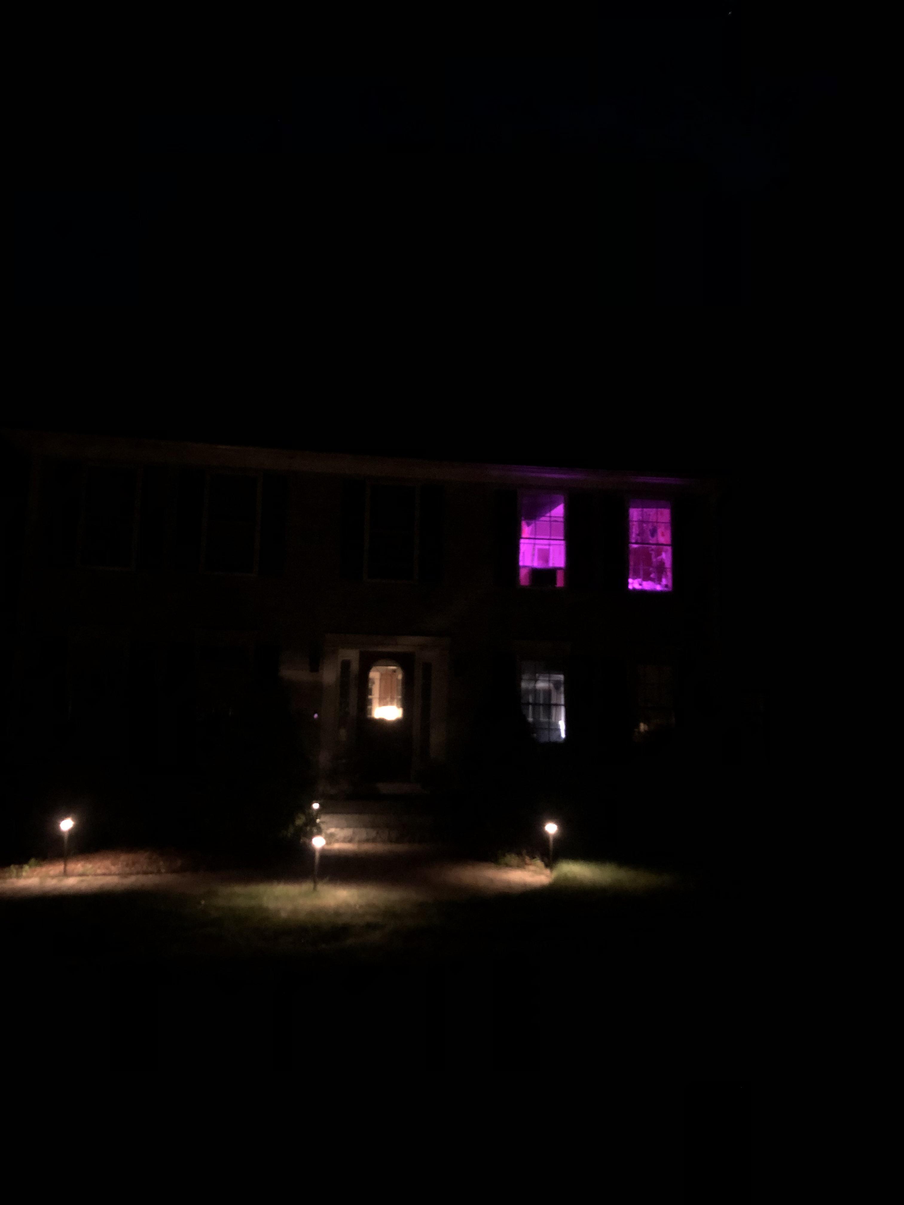 What a sight | Scrolller