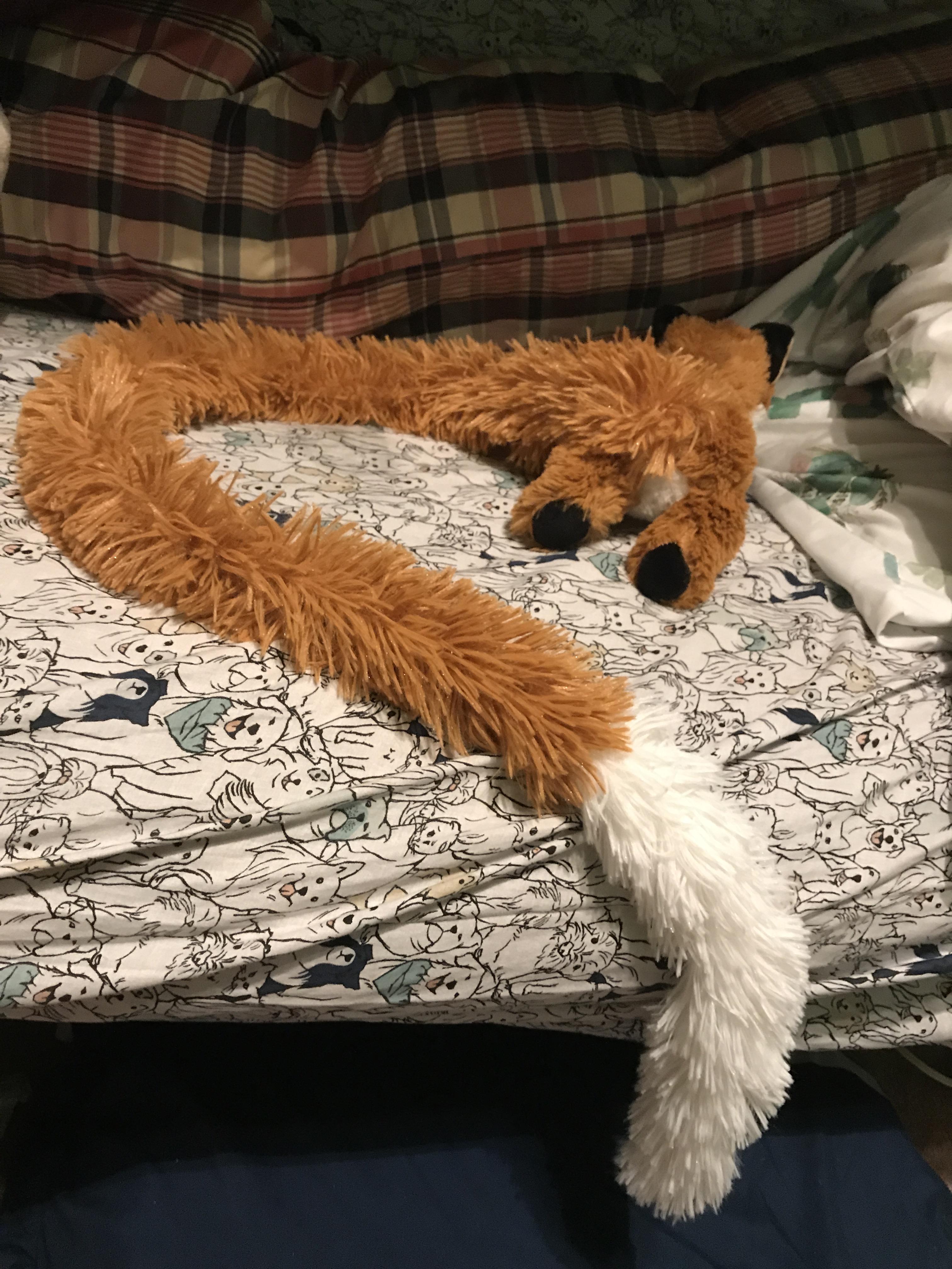 What a tail! | Scrolller