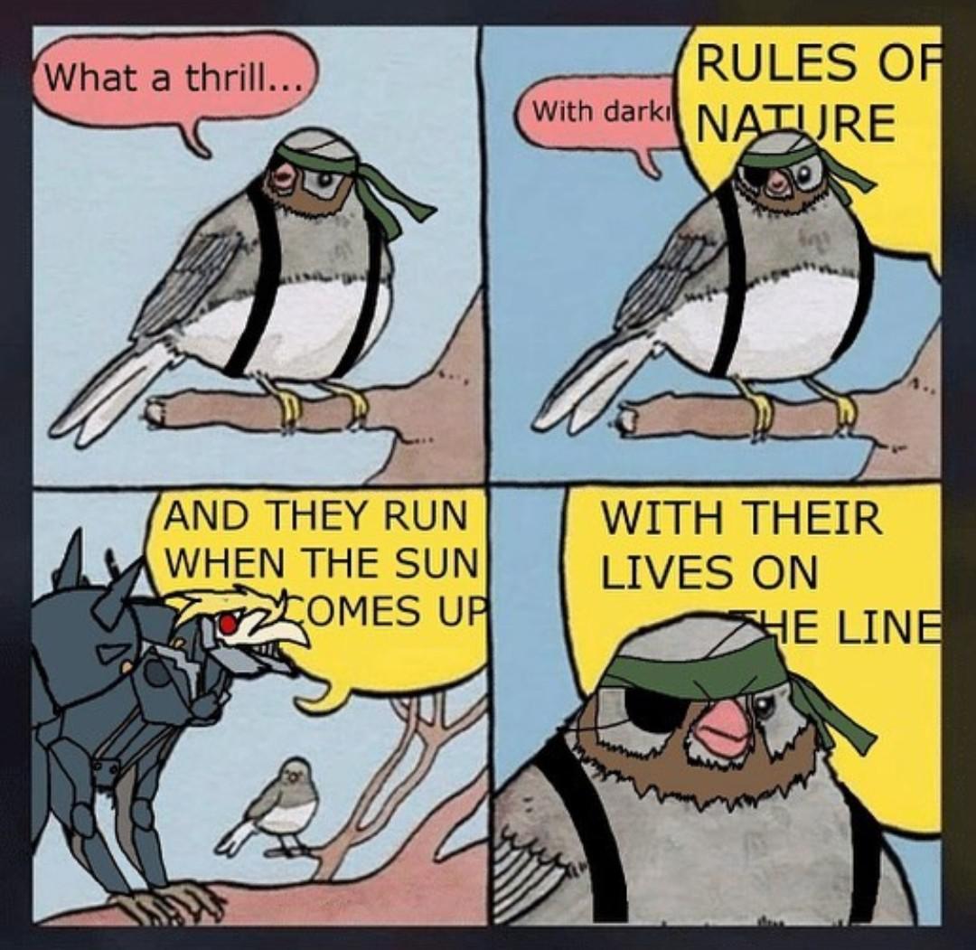 What a thrill.... | Scrolller