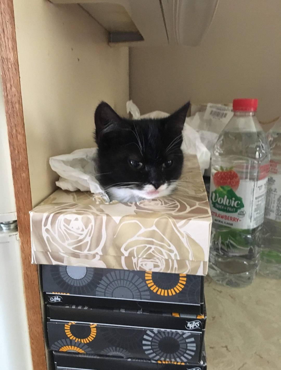 what a tight box | Scrolller