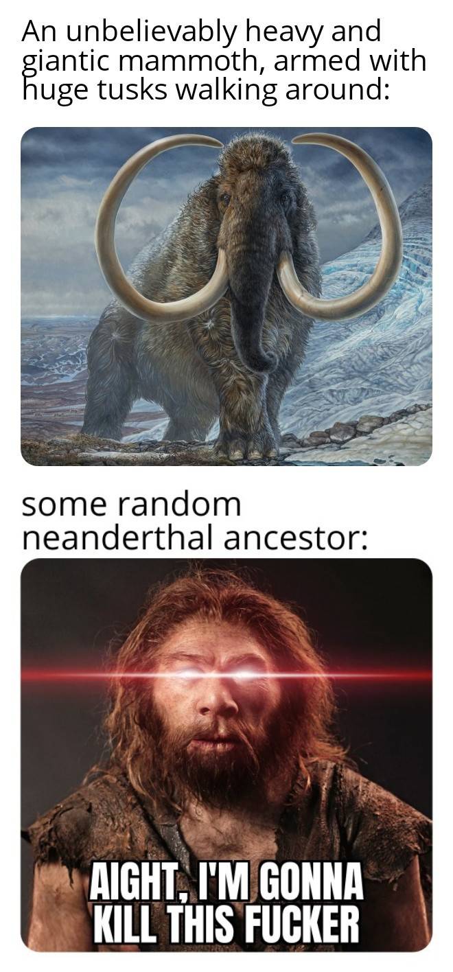 What an absolute madman | Scrolller