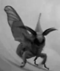 What is this moth? | Scrolller