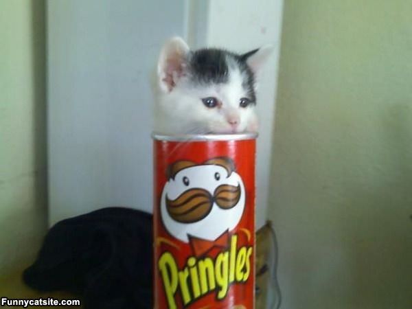 What kind of pringles are these caw caw | Scrolller