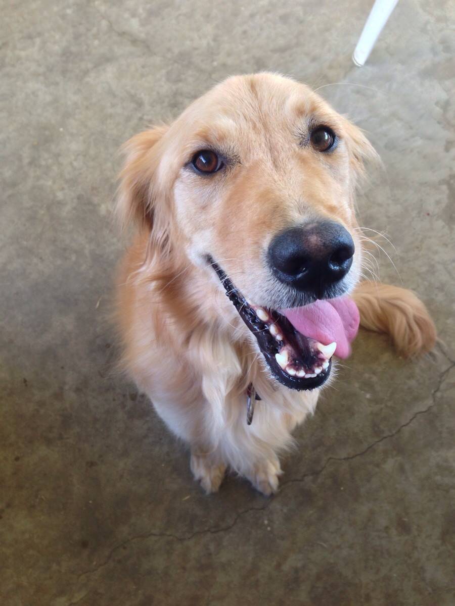 What now? | Scrolller