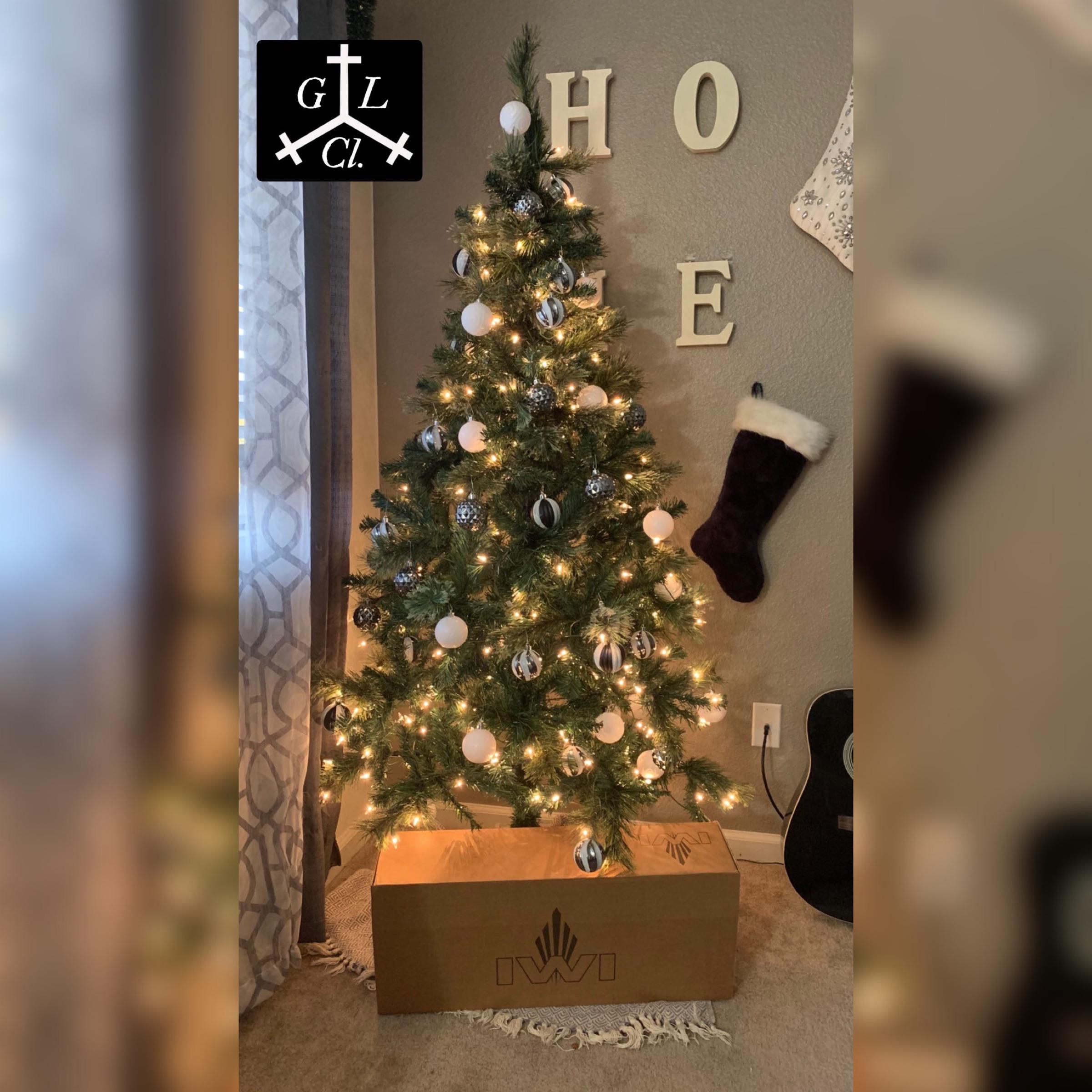 What’s under your tree? | Scrolller