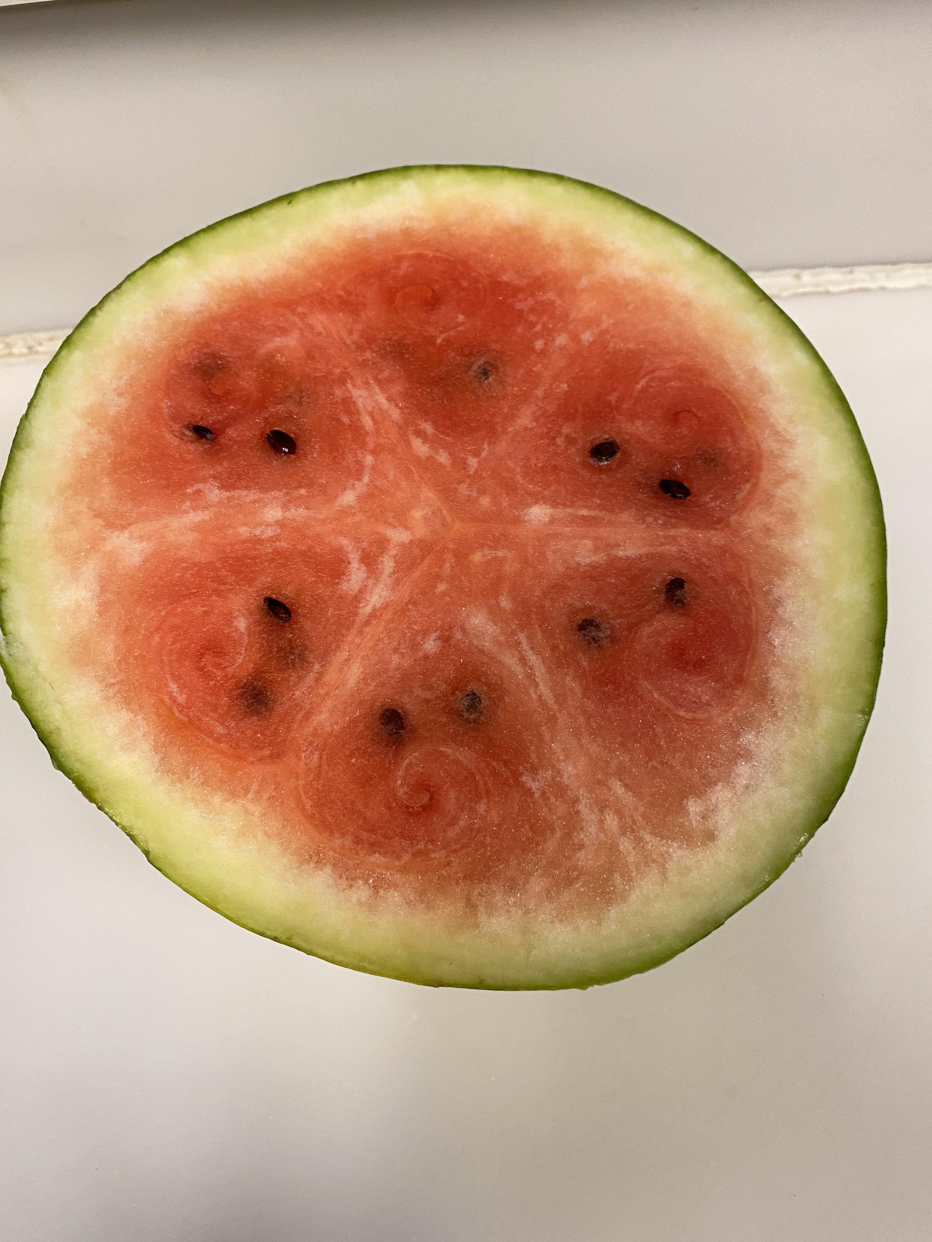 What’s wrong with my watermelon? | Scrolller
