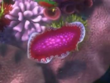What the heck is this pink Pancake in Finding Nemo? | Scrolller