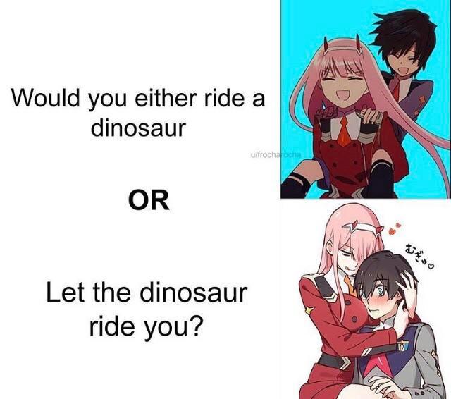 What you doing? | Scrolller