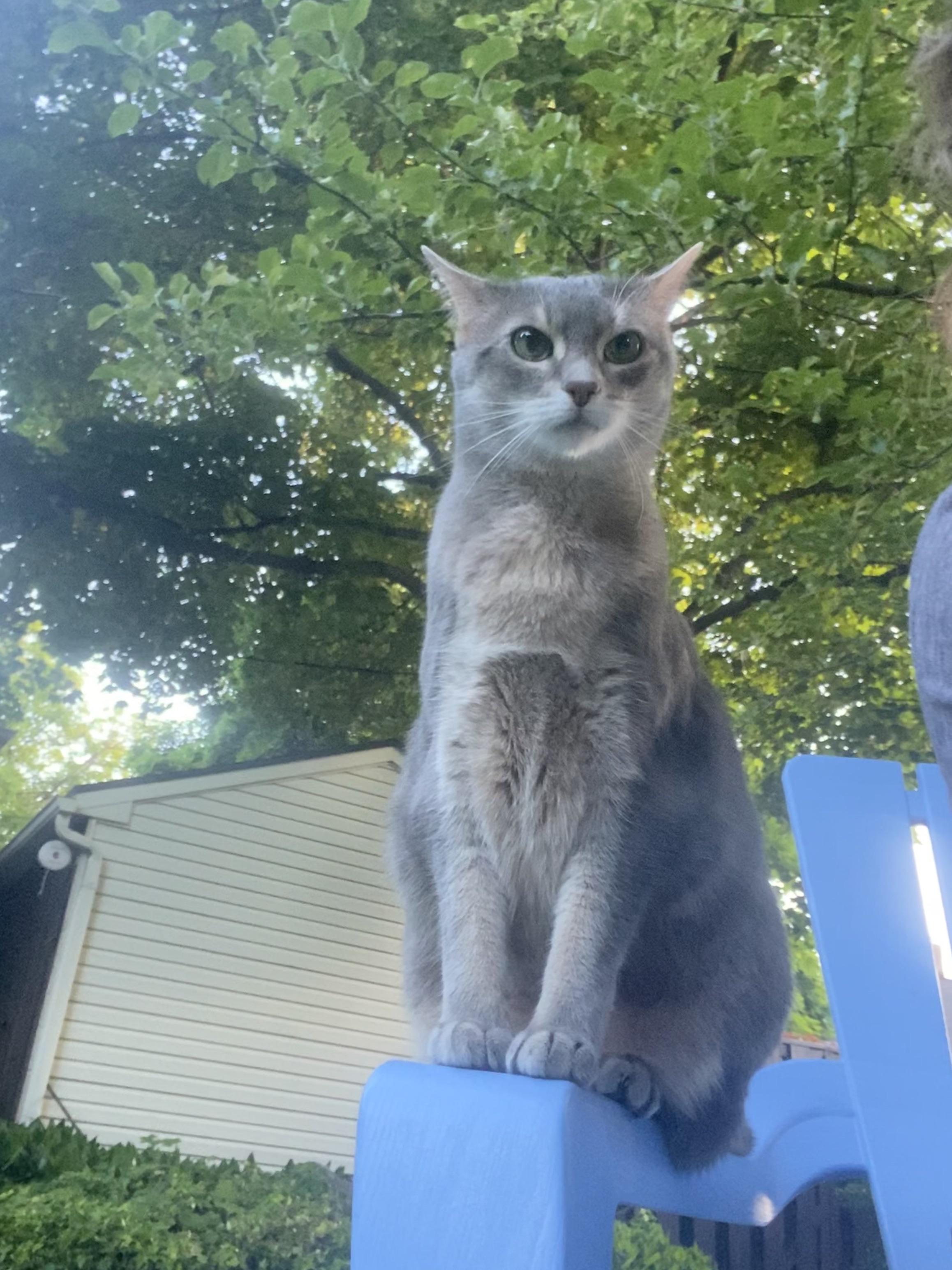 Whatcha doing, mom? | Scrolller