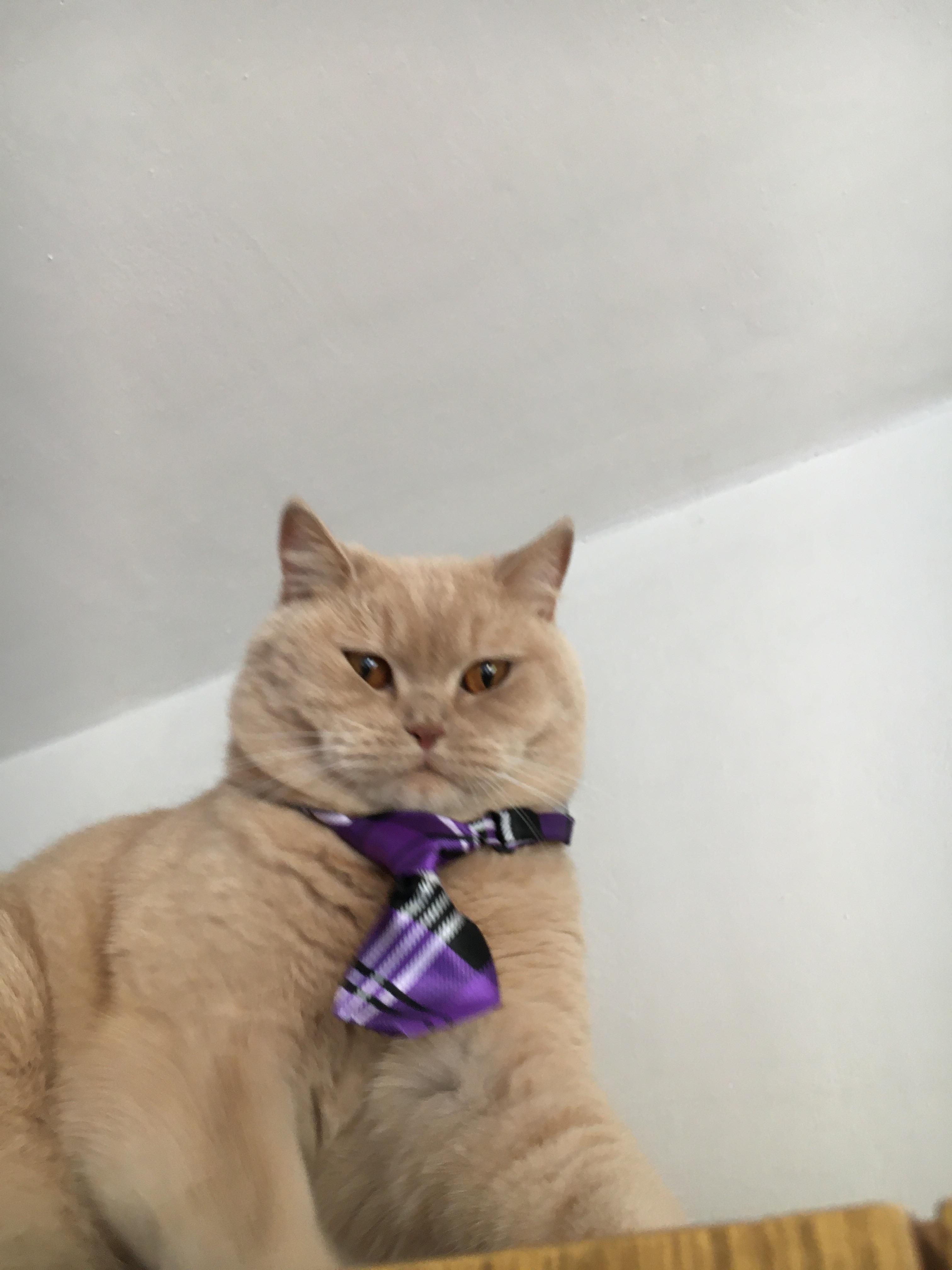 When boss ask you to stay after hours | Scrolller