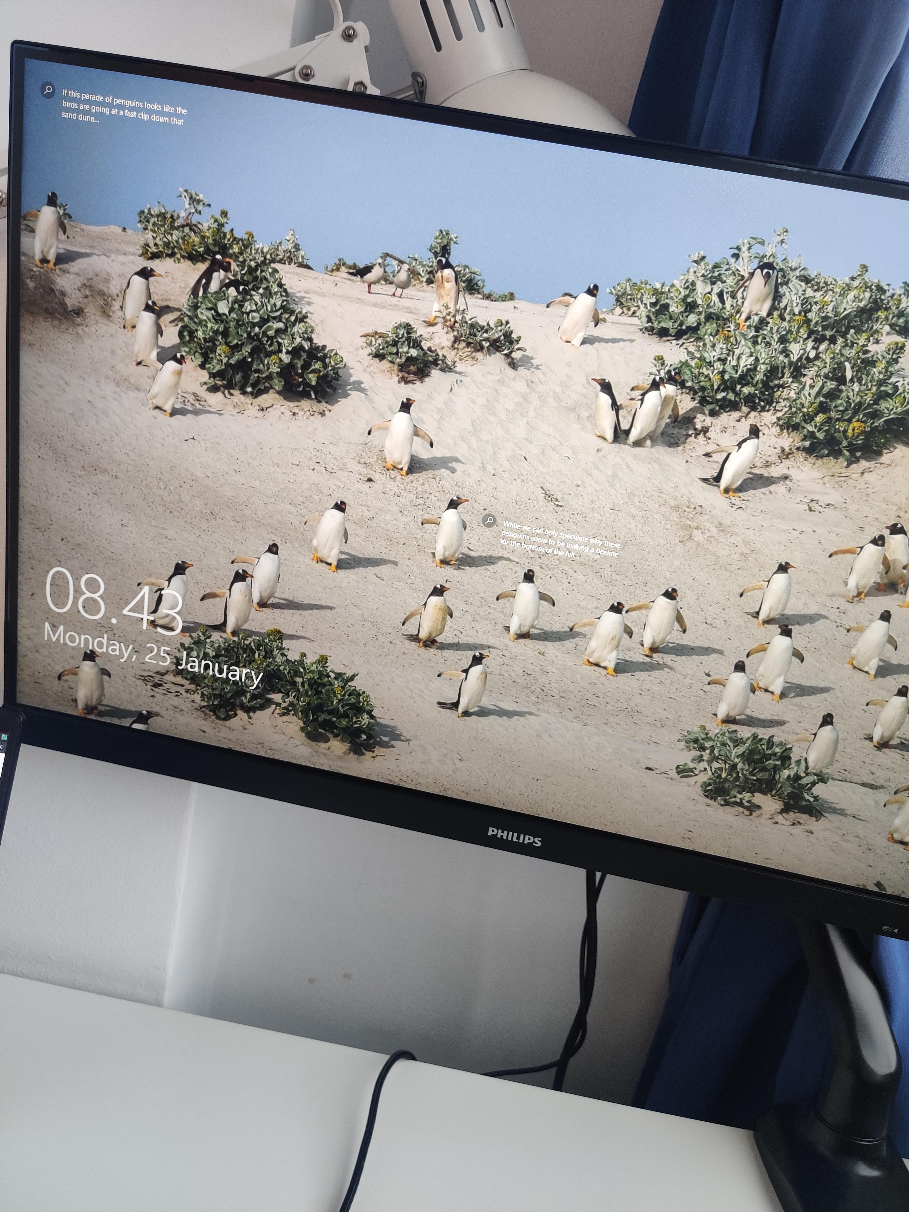 When the Windows lockscreen suggests you use Linux | Scrolller