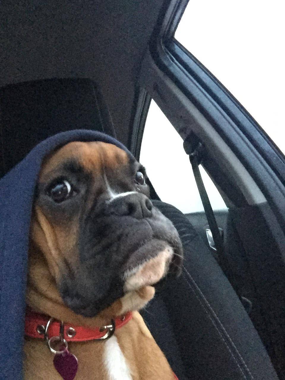 When you accidentally open the front facing camera | Scrolller