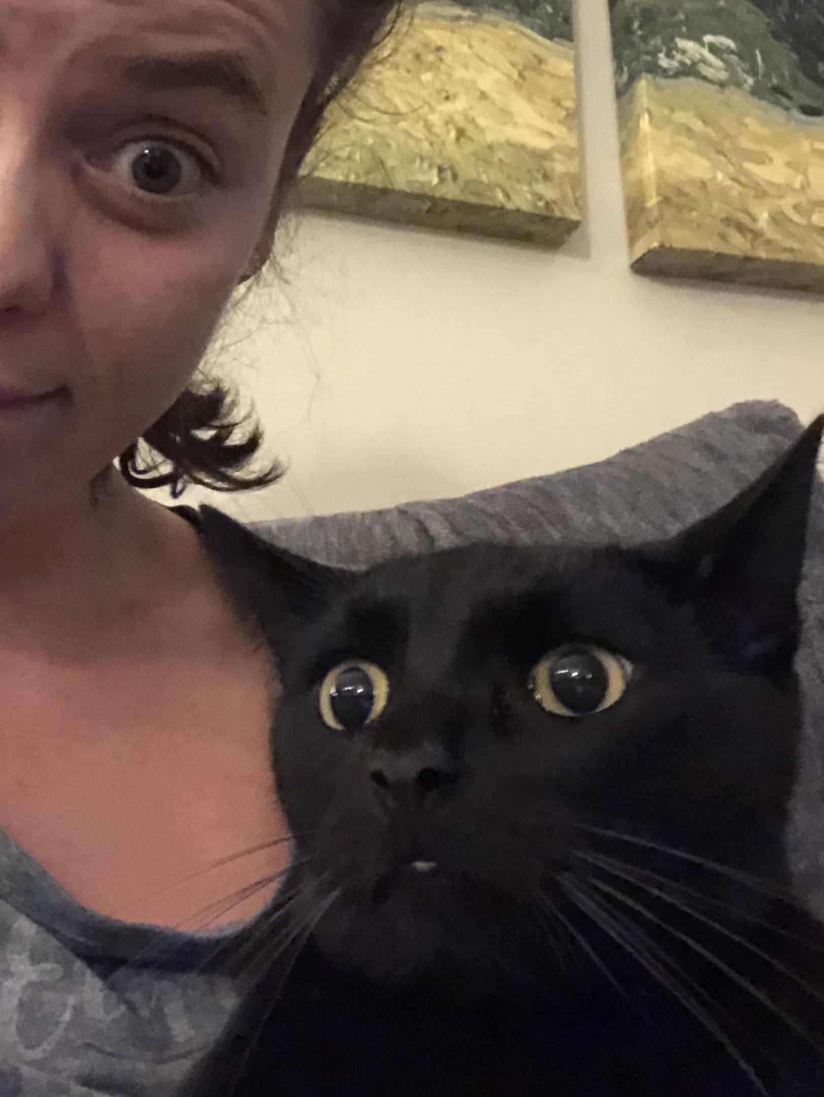When you don’t anticipate the front facing camera 🙀 | Scrolller