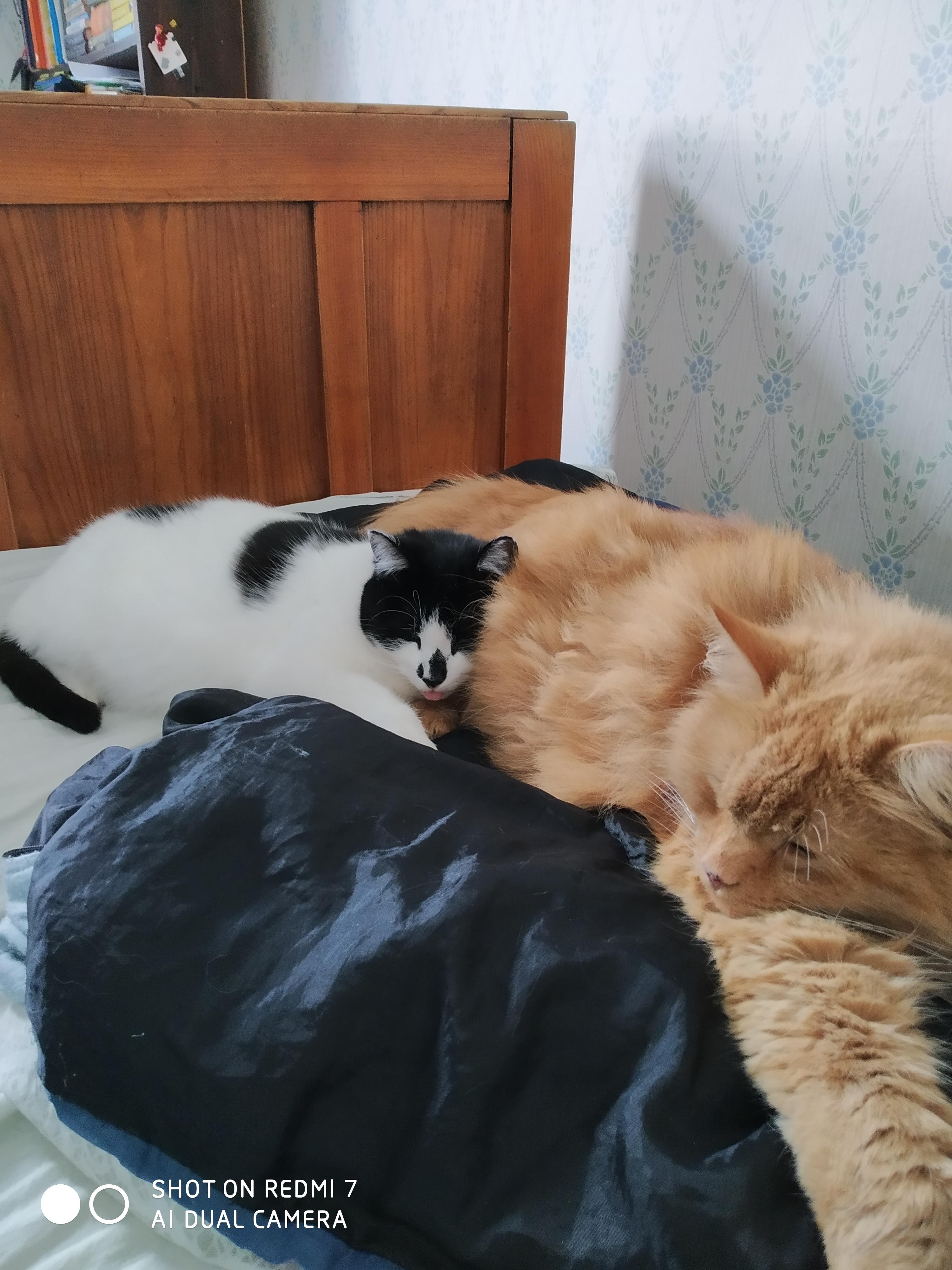 When you find your true love | Scrolller