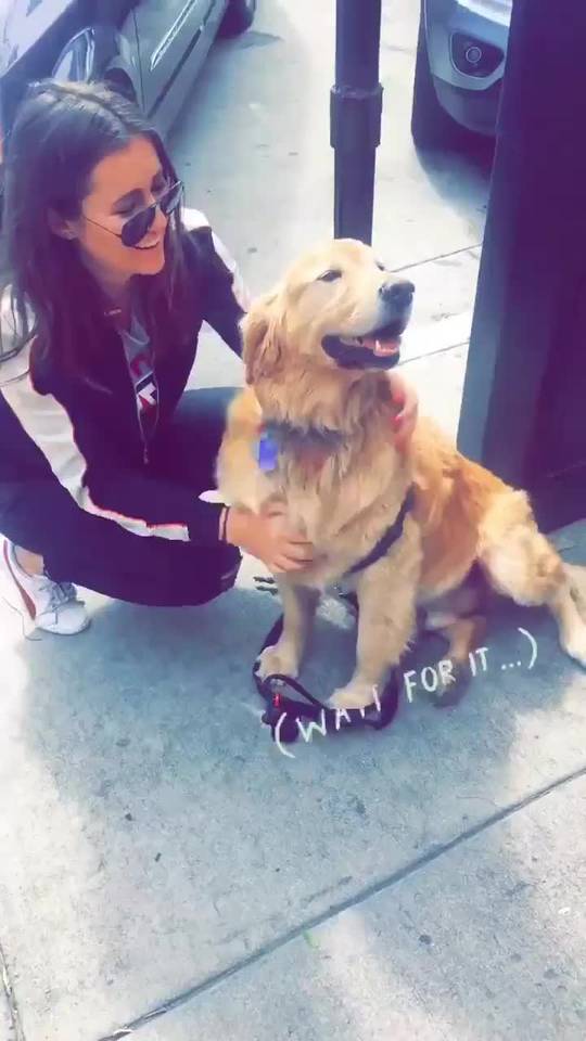 When you see your girl calling someone else a good boy. | Scrolller