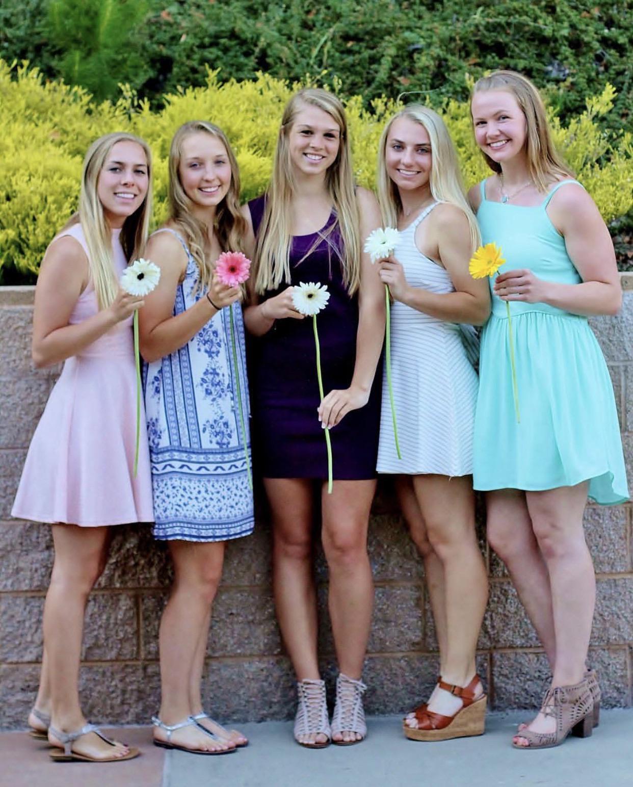 Which one and why? | Scrolller